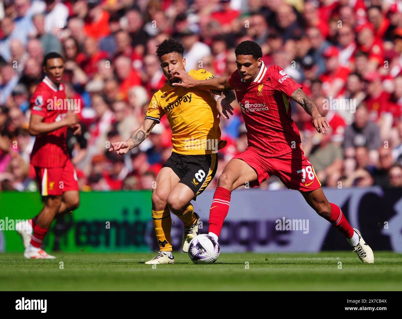 Liverpool's Jarell Quansah (right) and Wolverhampton Wanderers' Joao ...