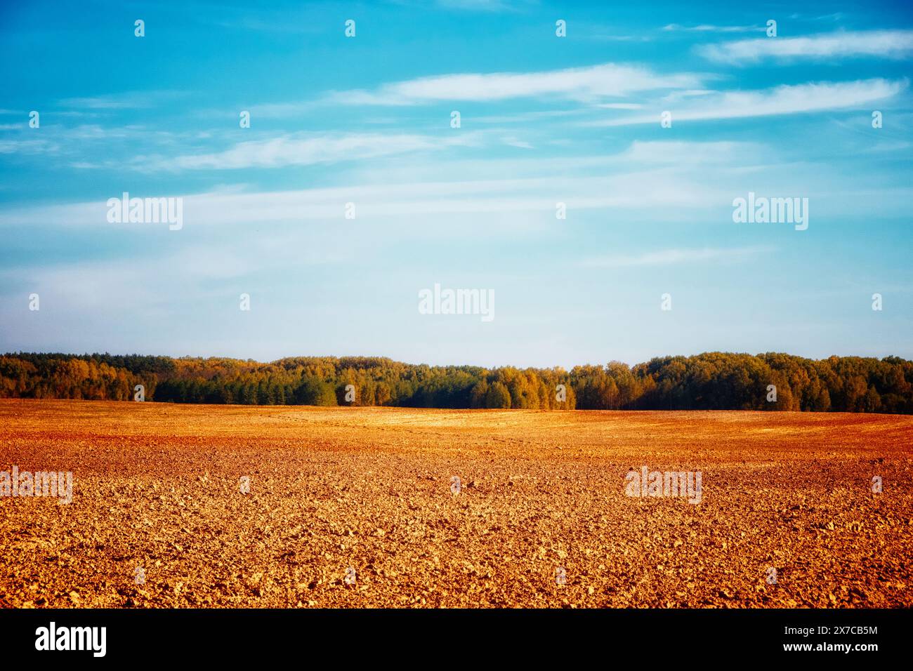 Treeline hi-res stock photography and images - Alamy
