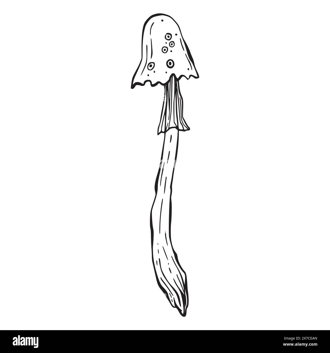 Witch lineart Black and White Stock Photos & Images - Alamy