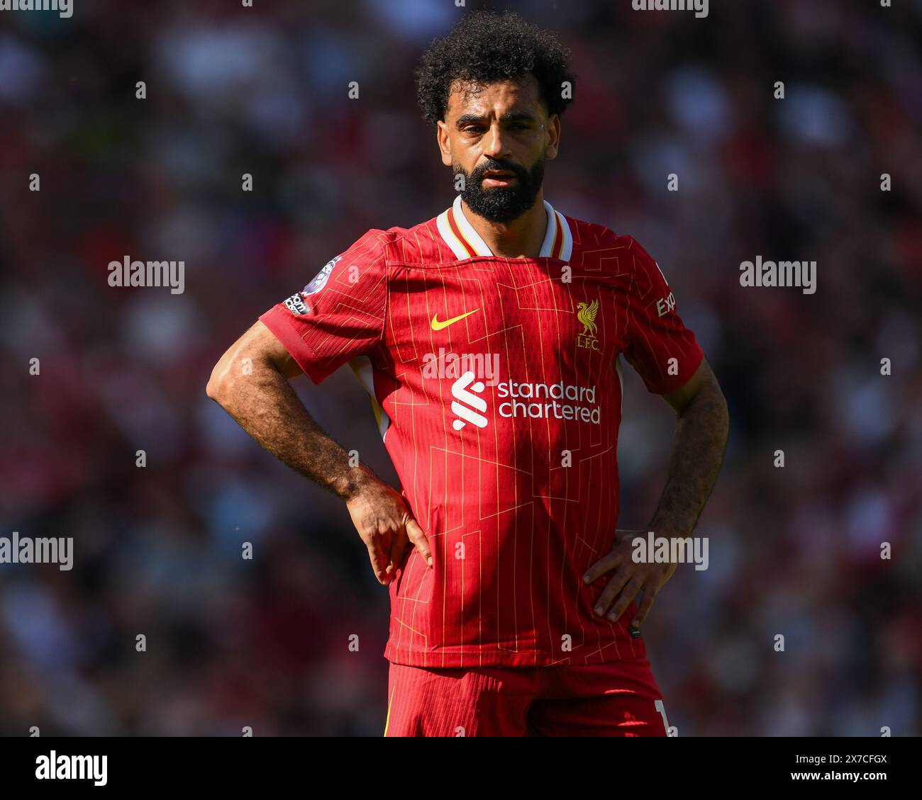 Mohamed Salah of Liverpool during the Premier League match Liverpool vs ...