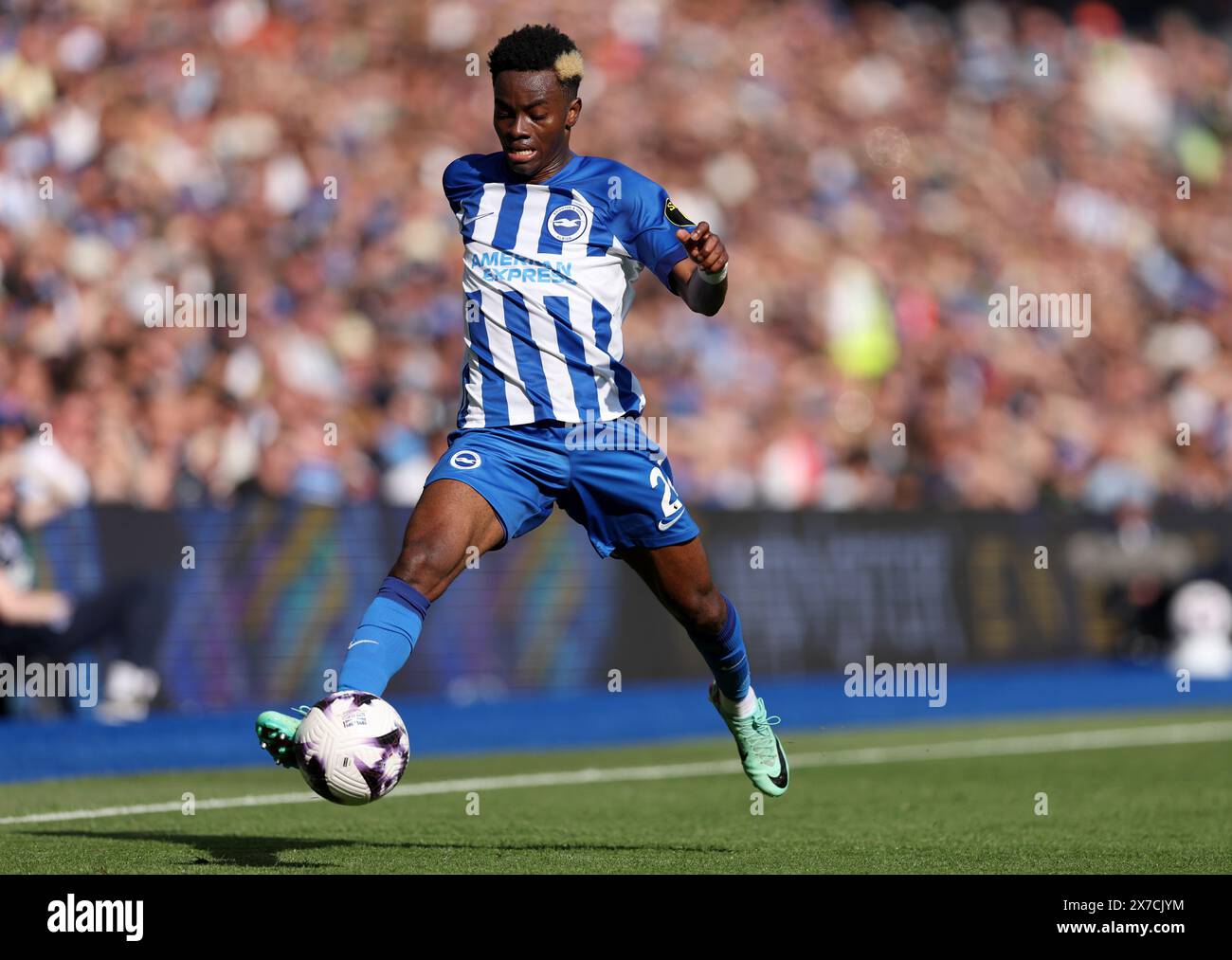 Brighton and Hove Albion's Simon Adingra during the Premier League ...