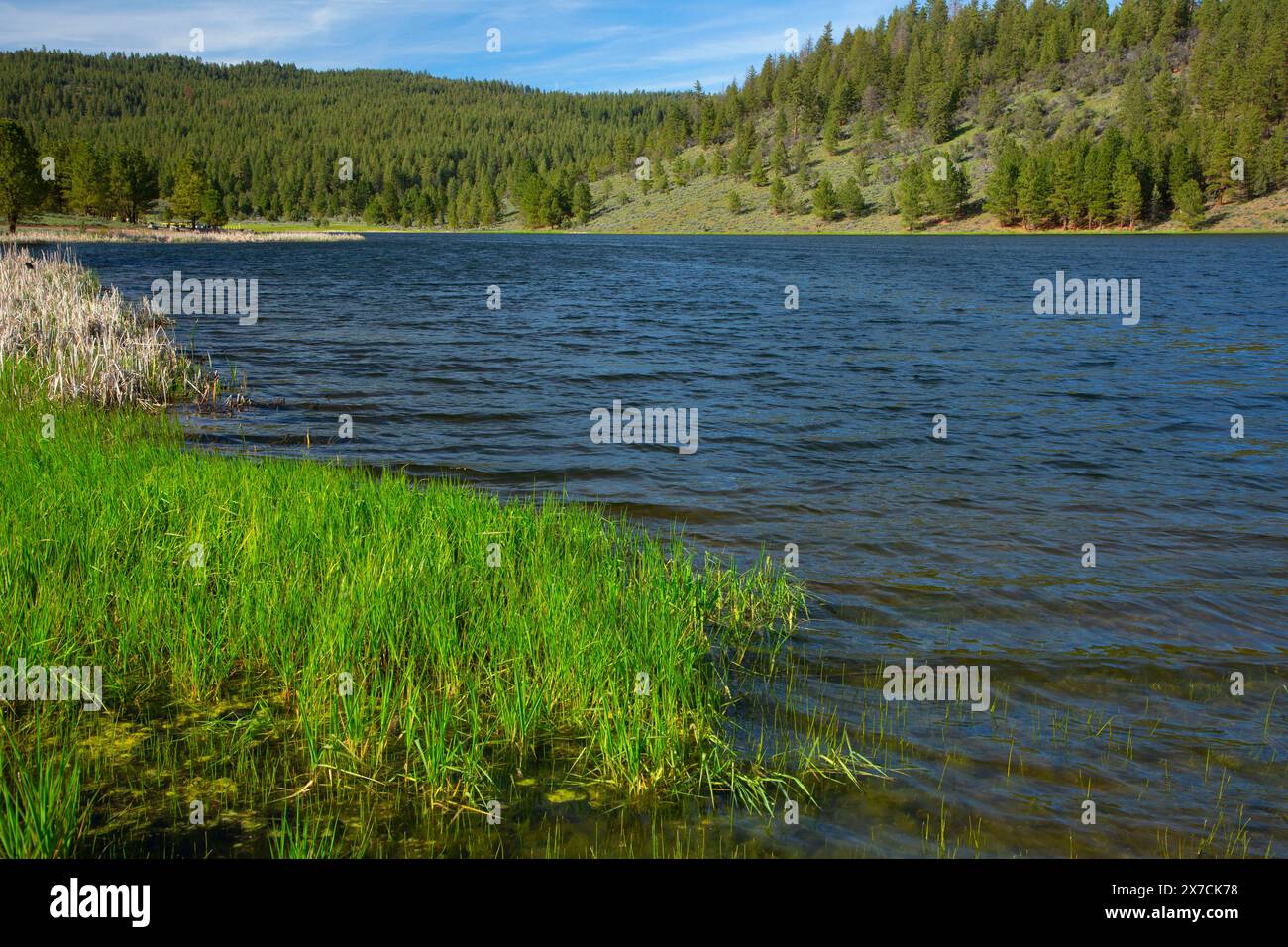 Malheur lake hi-res stock photography and images - Alamy