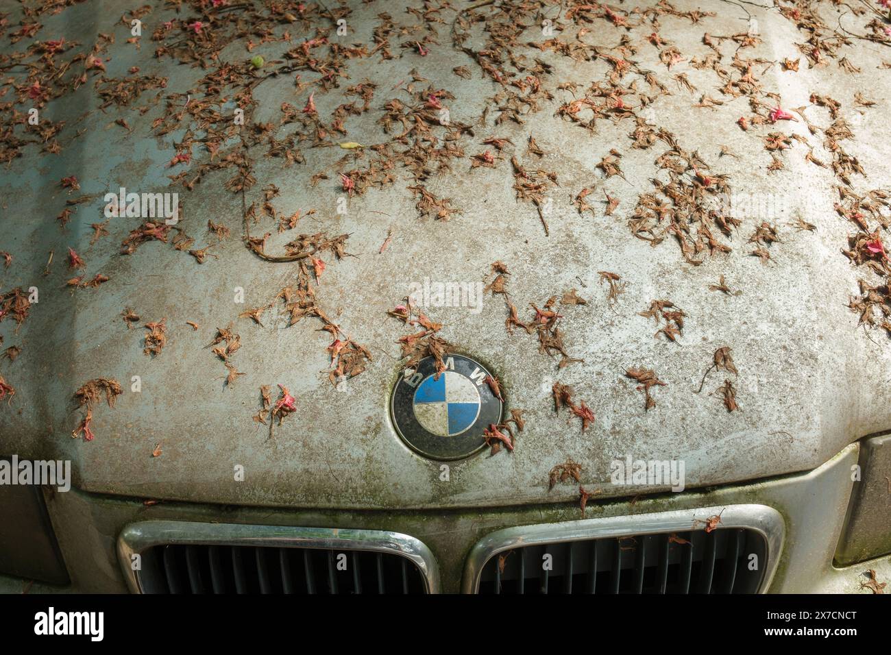 Filthy car hi-res stock photography and images - Alamy