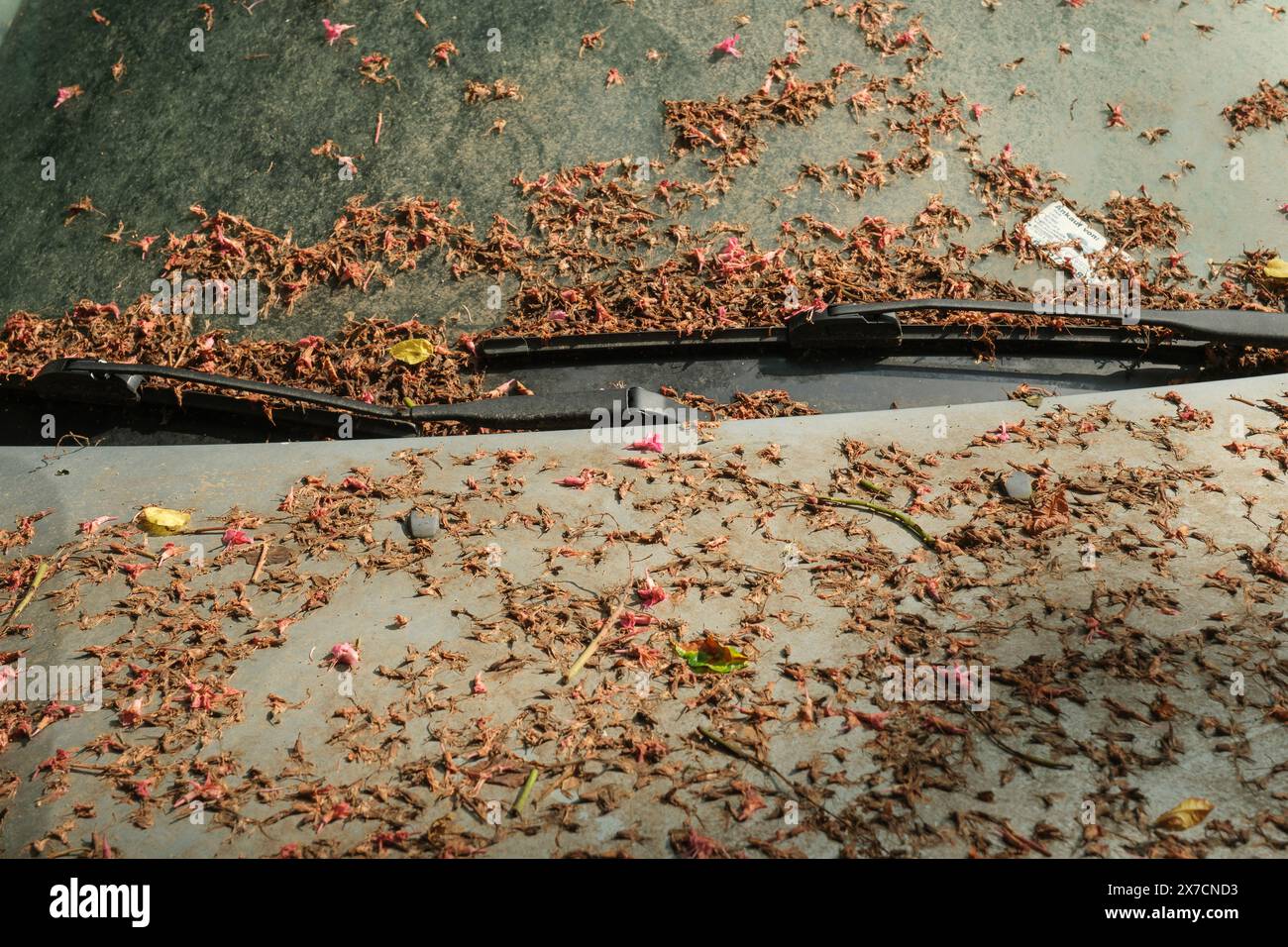 Car care neglected hi-res stock photography and images - Alamy