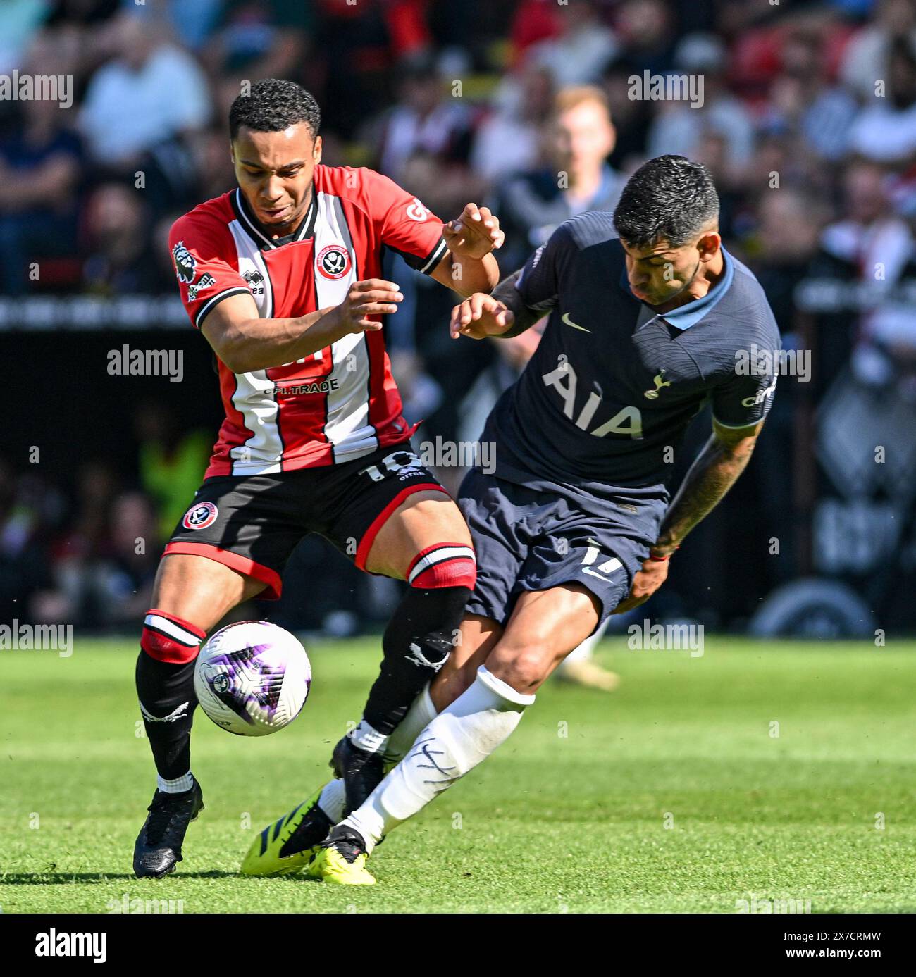 Bramall Lane, Sheffield, UK. 19th May, 2024. Premier League Football ...