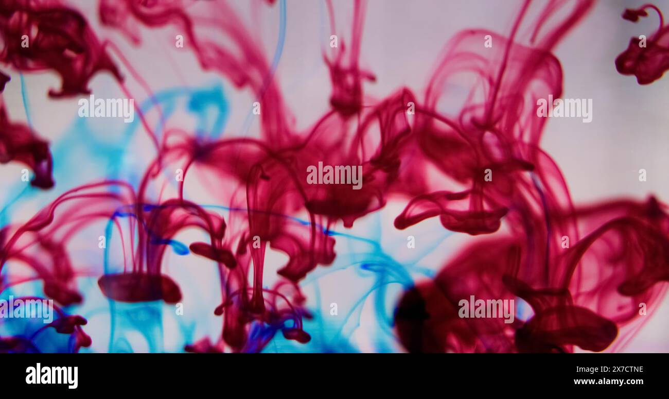Ink swirl. Liquid smoke. Blur red blue color paint splash pigment fluid ...