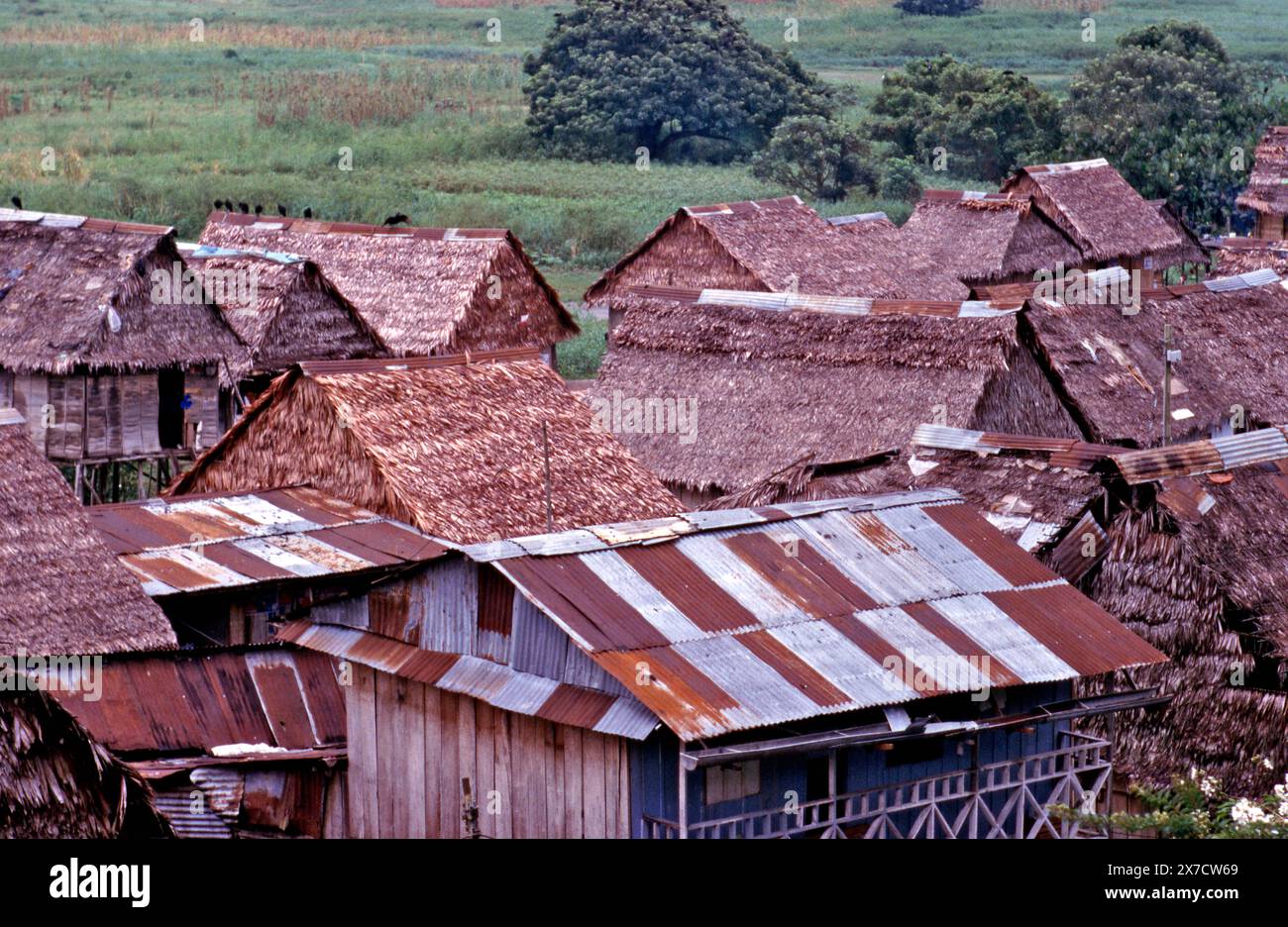 Shacks in the Peruvian slum shanty town of Belen near Iquitos Stock ...