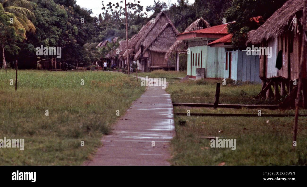 A typical indigenous Cocama village in the Preuvian Amazon Stock Photo ...