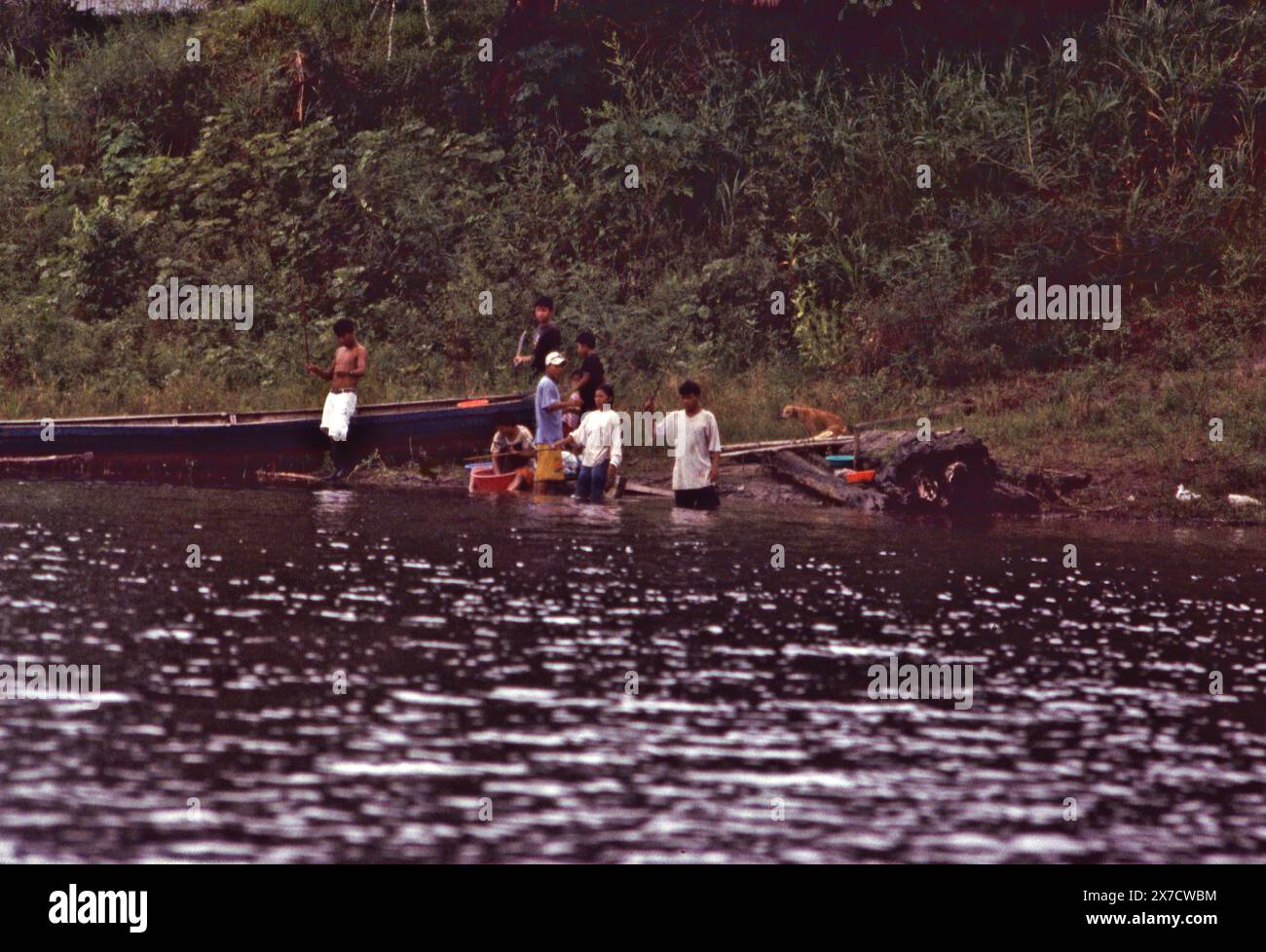 Fish forms a large part of the indigenous Cocama diet Stock Photo - Alamy