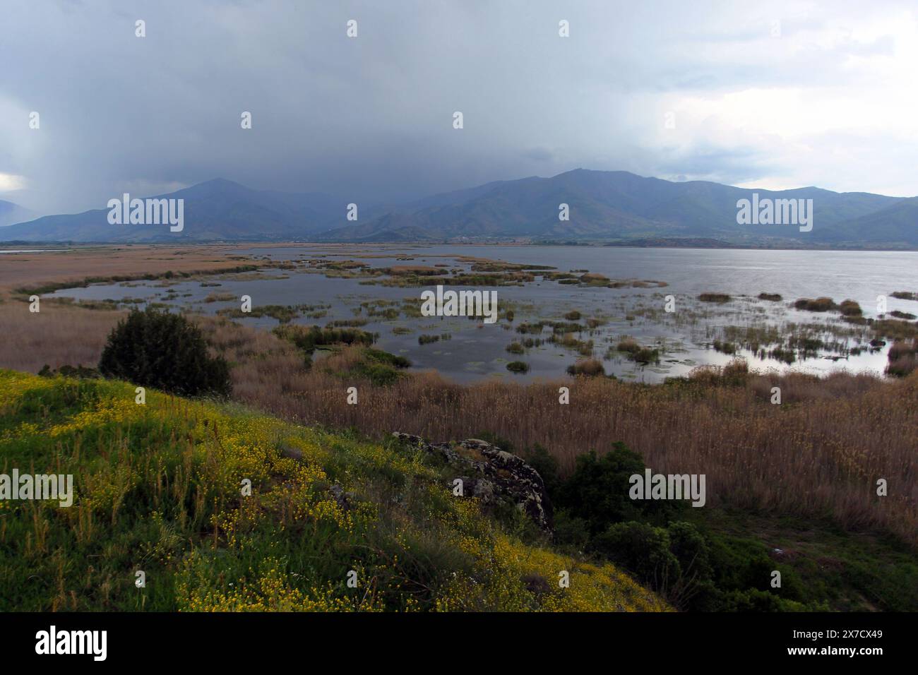 Prespa lake aerial hi-res stock photography and images - Alamy