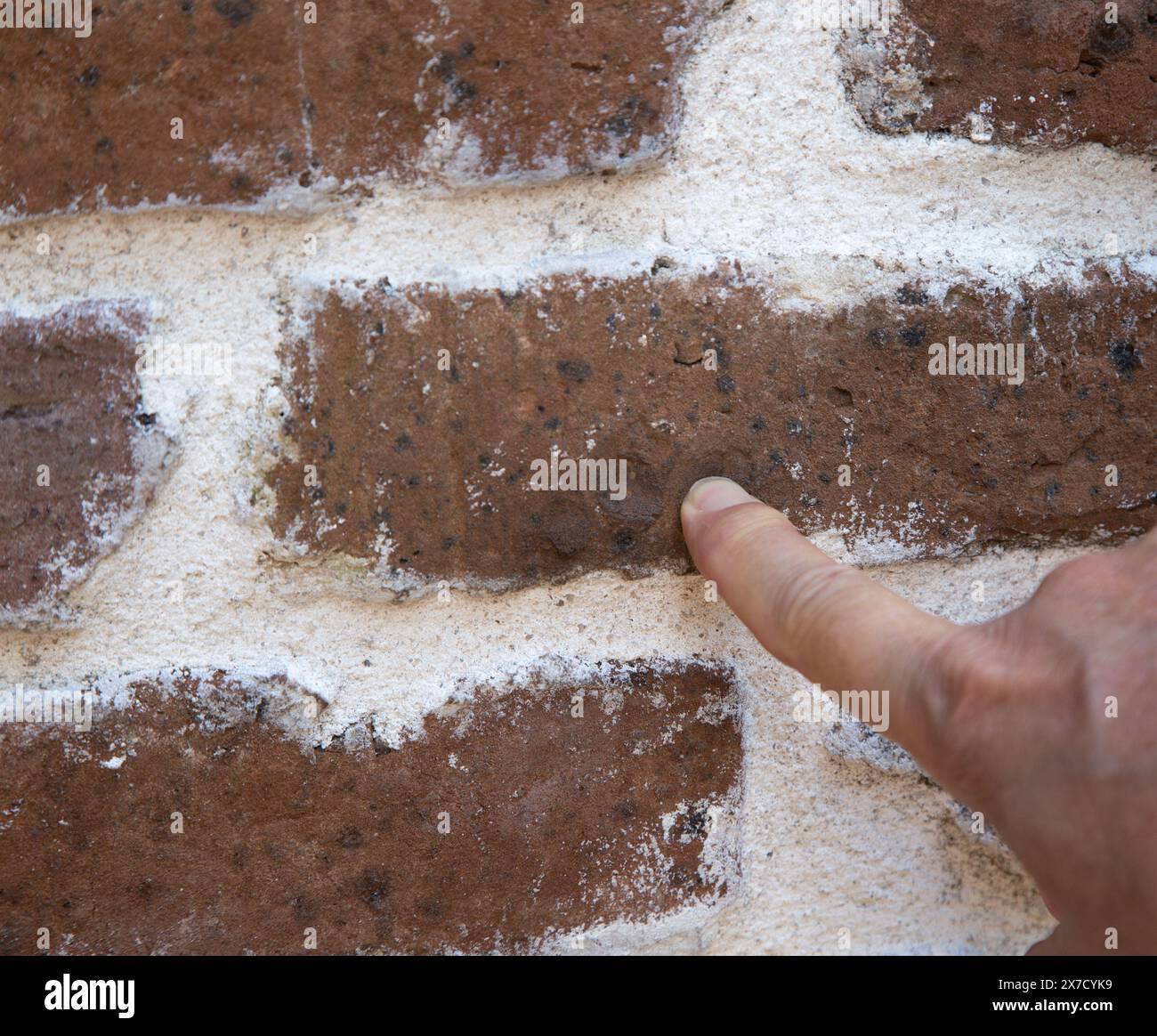 Fingerprints preserved in locally produced bricks, a signature of the ...