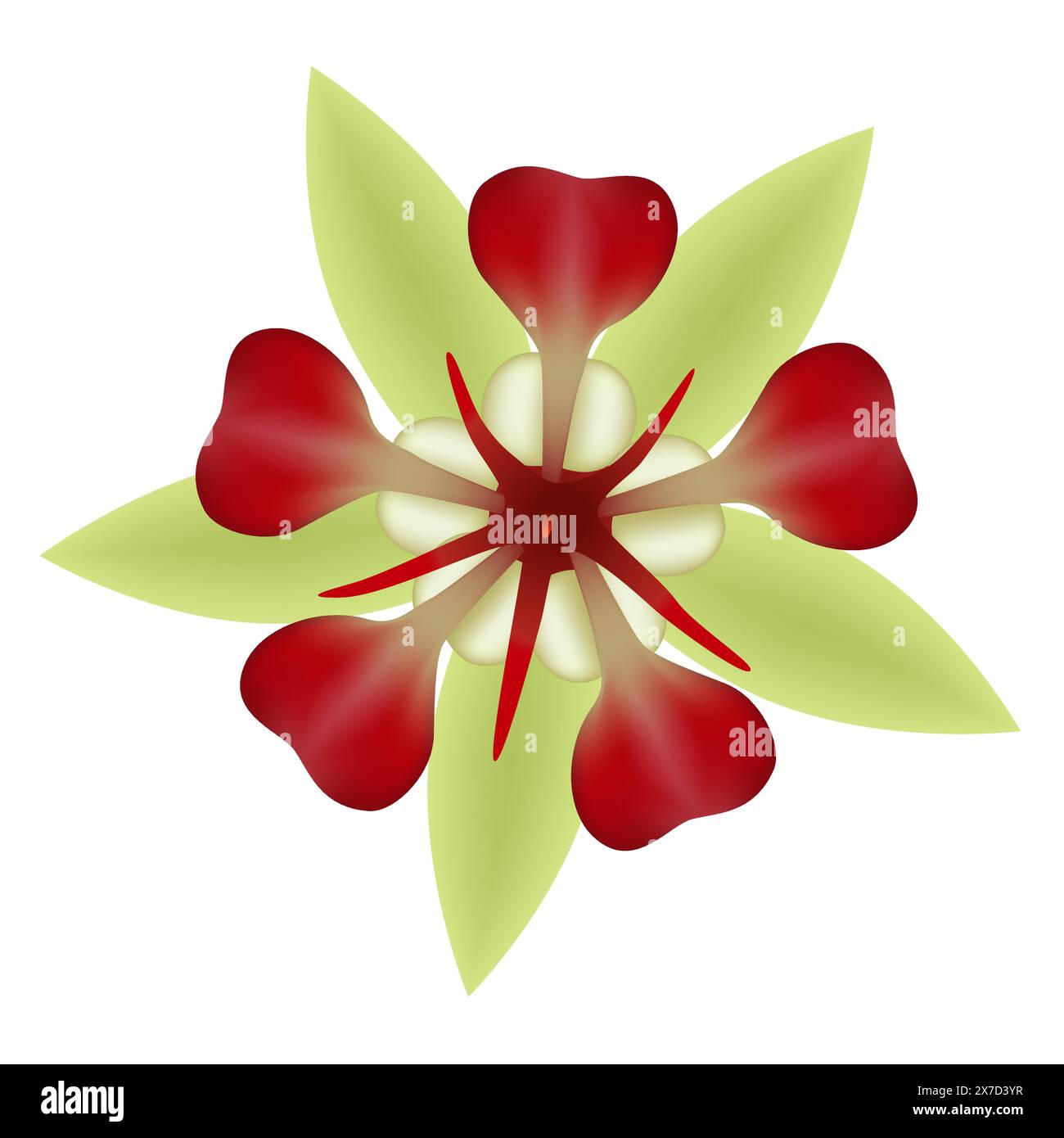 Cacao flower tree Stock Vector Images - Alamy