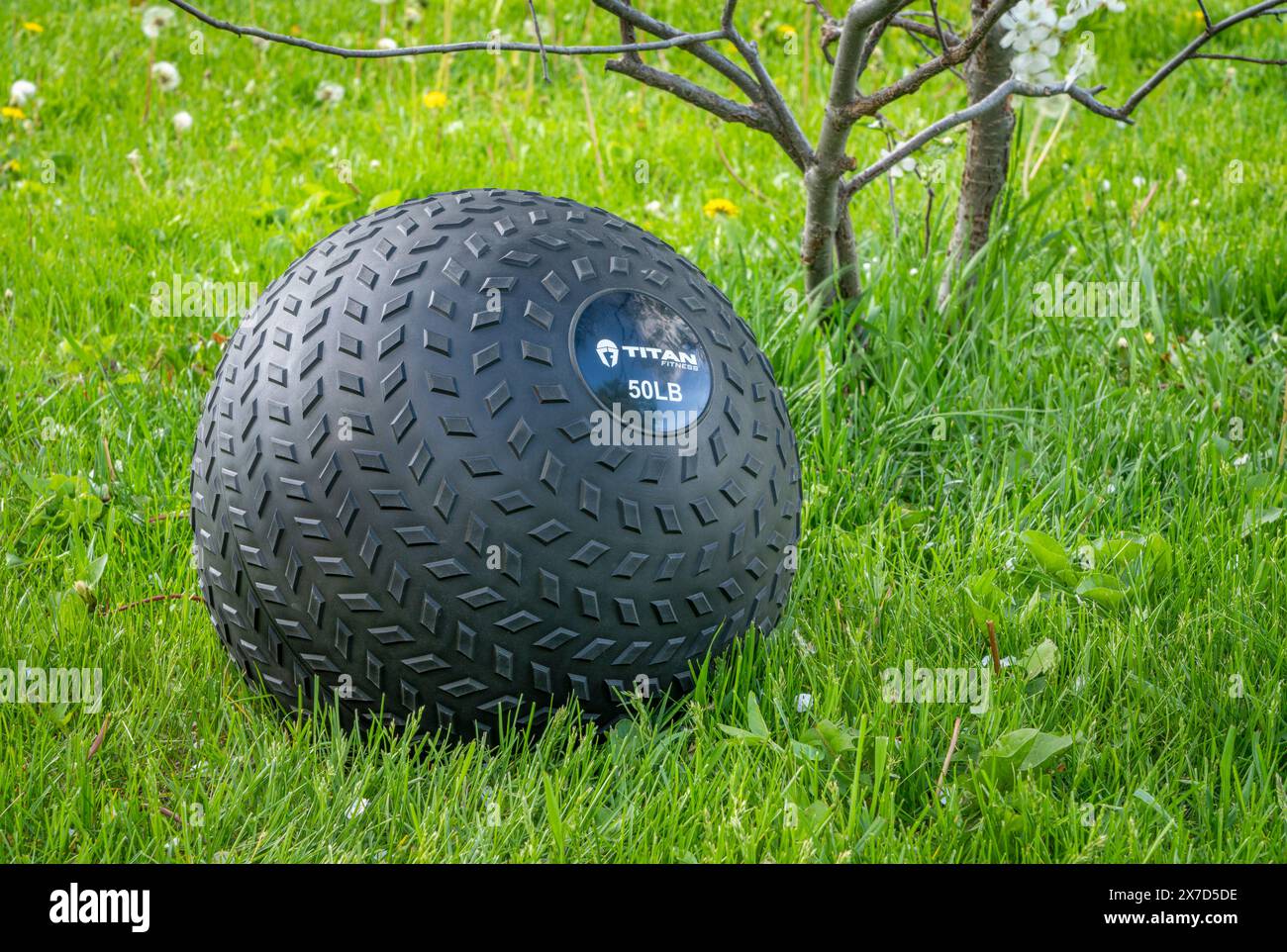 Titan fitness hi-res stock photography and images - Alamy