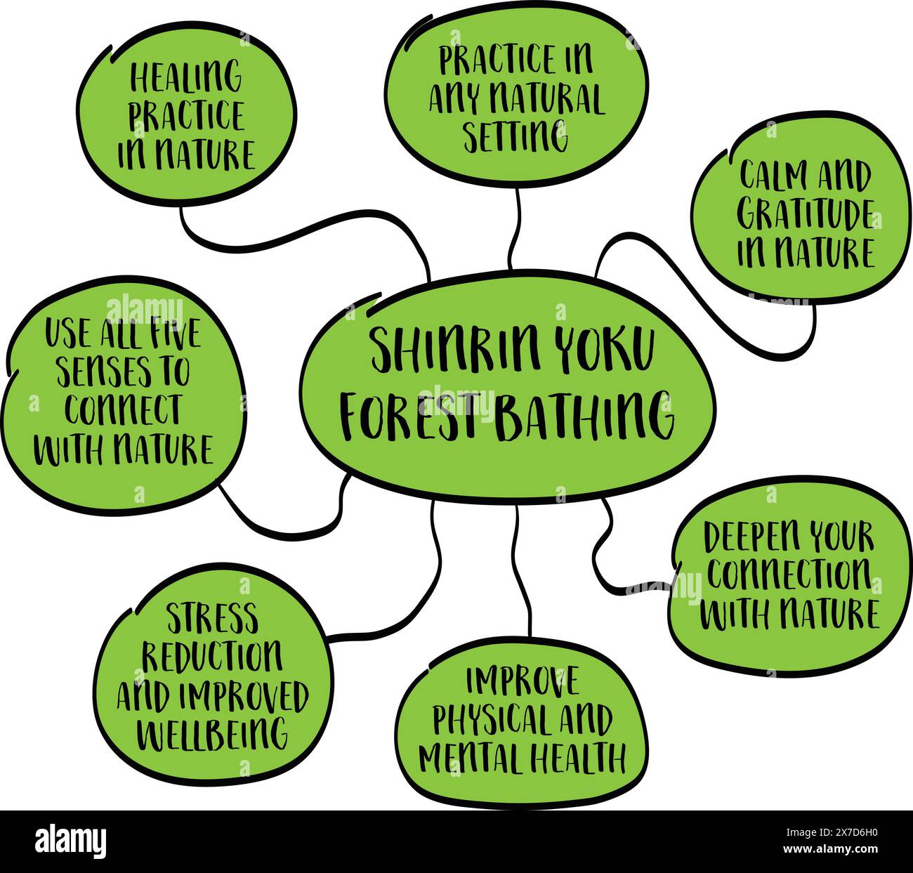 Japanese concept of shinrin yoku, forest bathing, the practice of ...