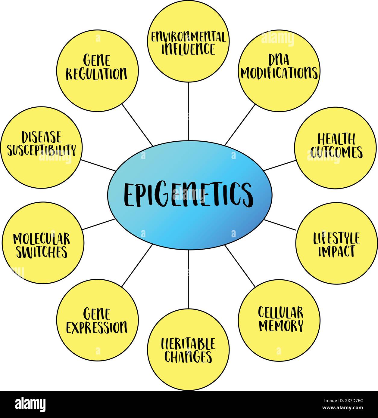 Dna regulation Stock Vector Images - Alamy
