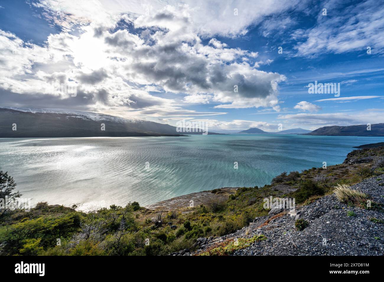in the shore of lake Lago del Pehoe in the Torres del Paine national ...
