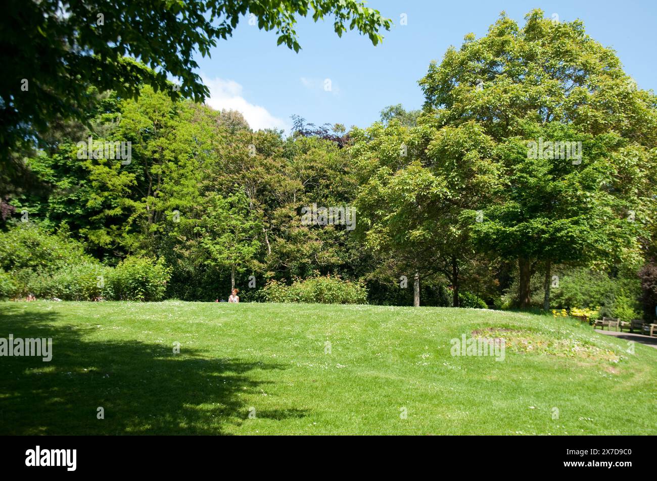 Waterlow Park, Highgate, London, UK - grass; trees; sunshine; bushes ...