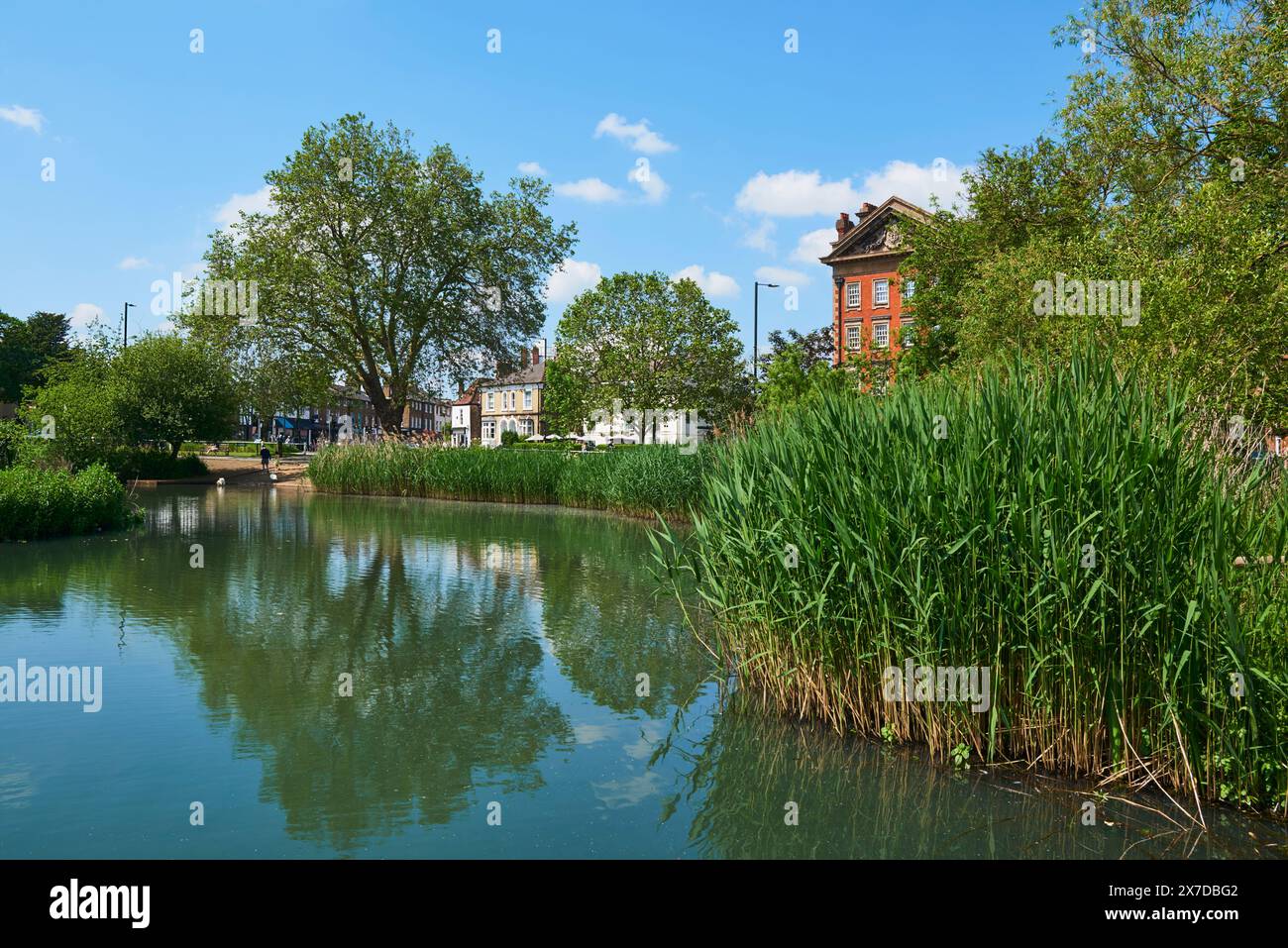 Barnes green houses hi-res stock photography and images - Alamy