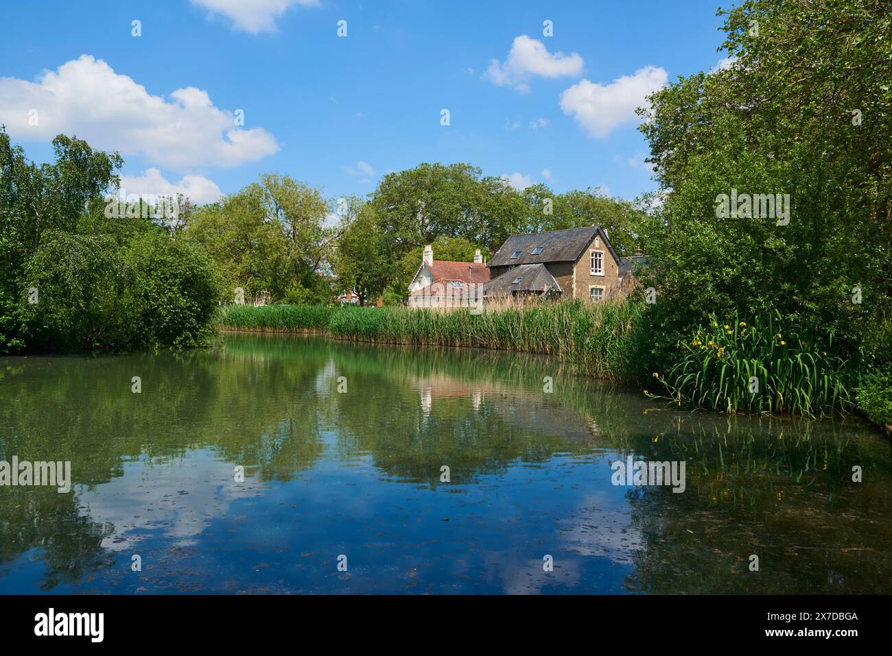 West barnes hi-res stock photography and images - Alamy