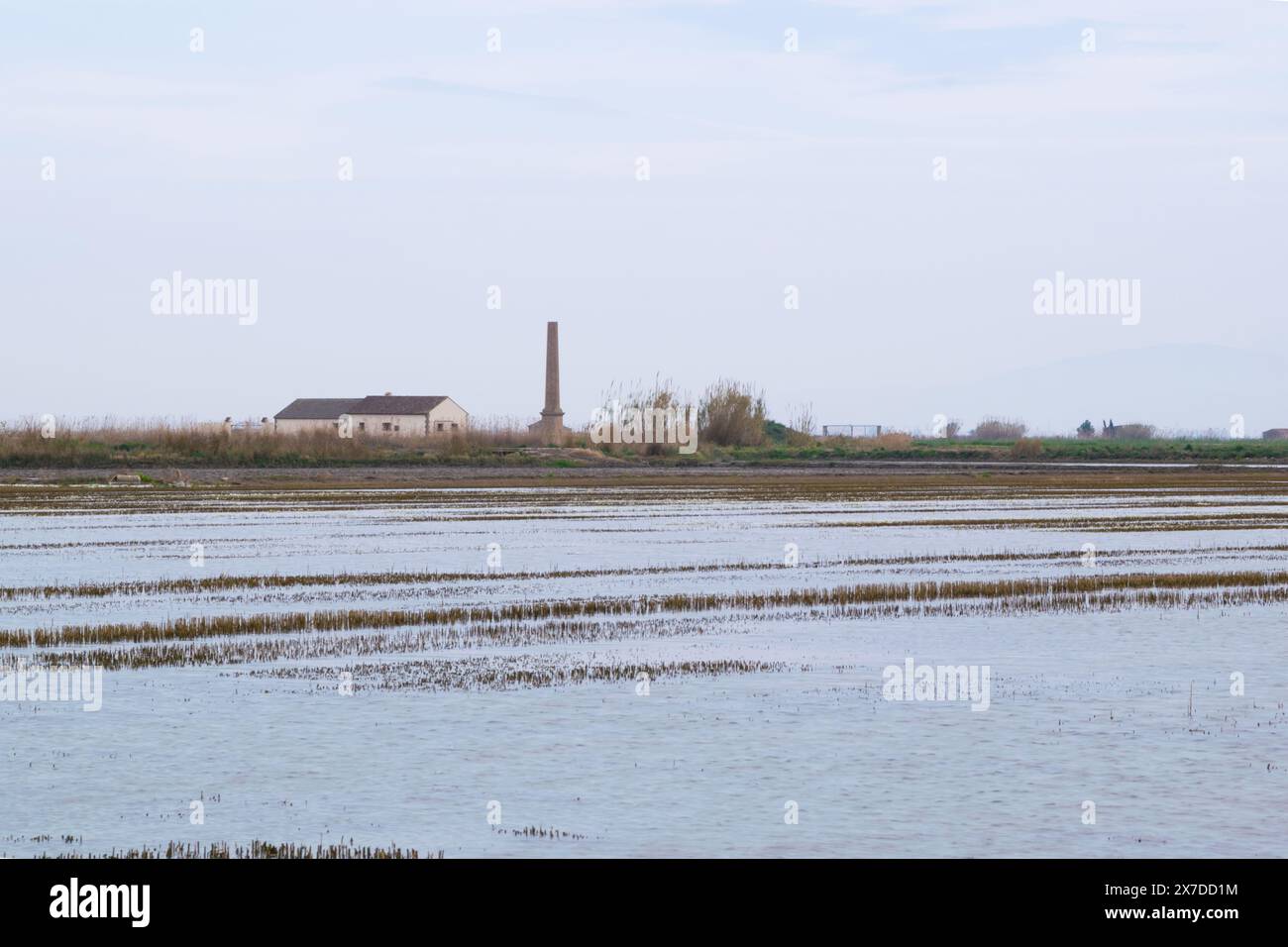 Rice fields in spain hi-res stock photography and images - Alamy