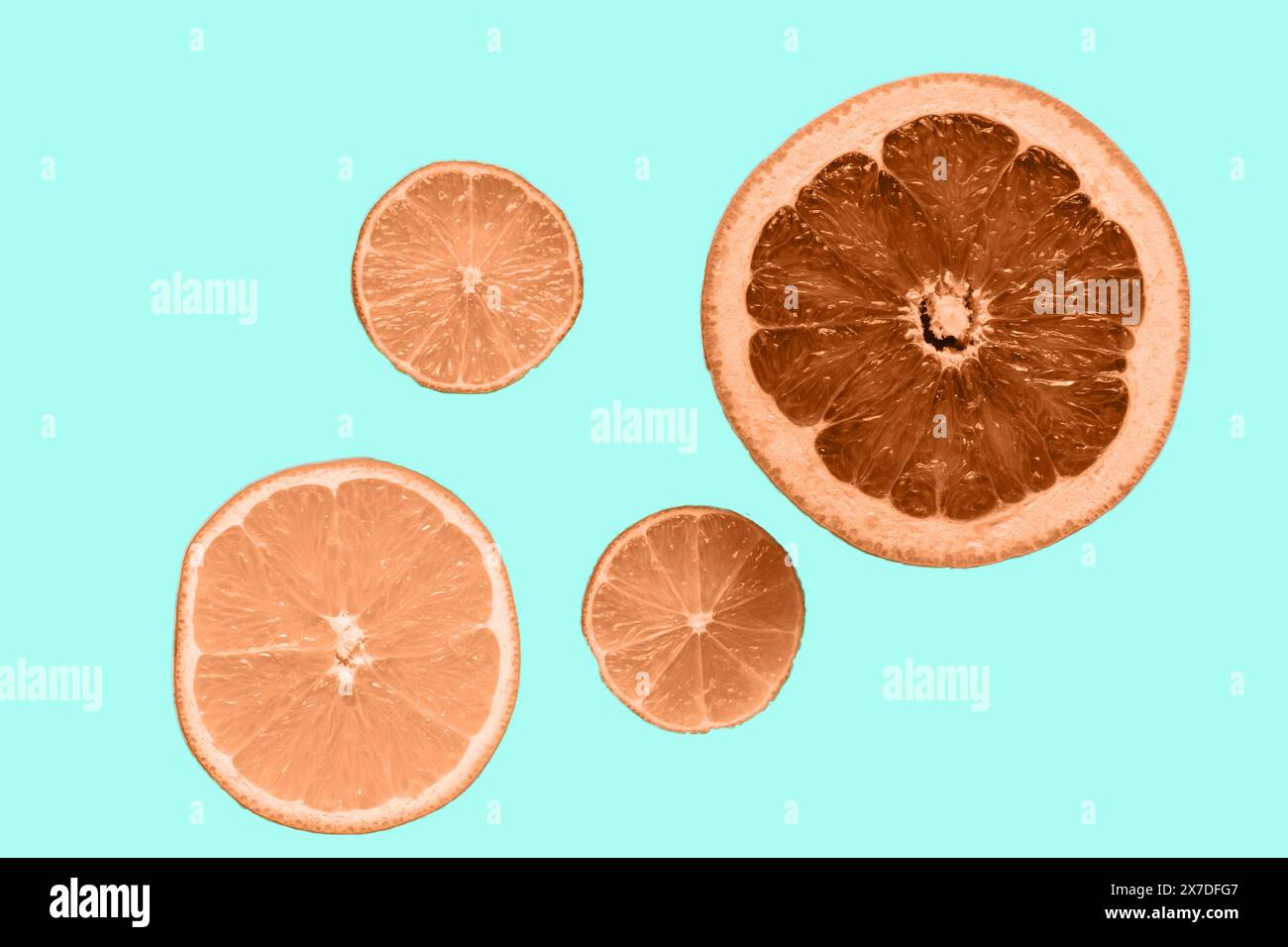 Flat lay Dried citrus chips over background of peach fuzz color ...
