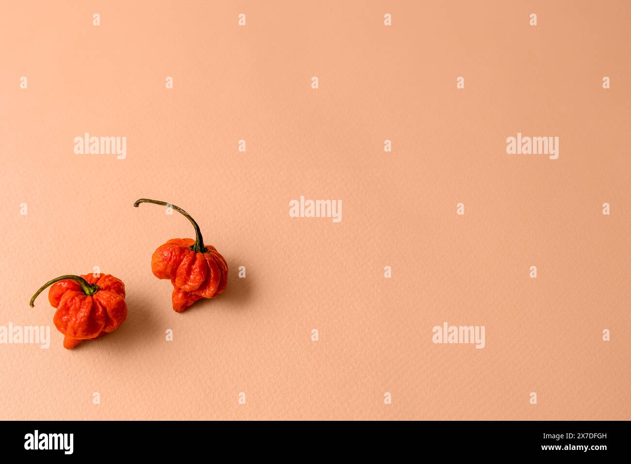 Flat lay carolina reaper peppers over background of peach fuzz color ...
