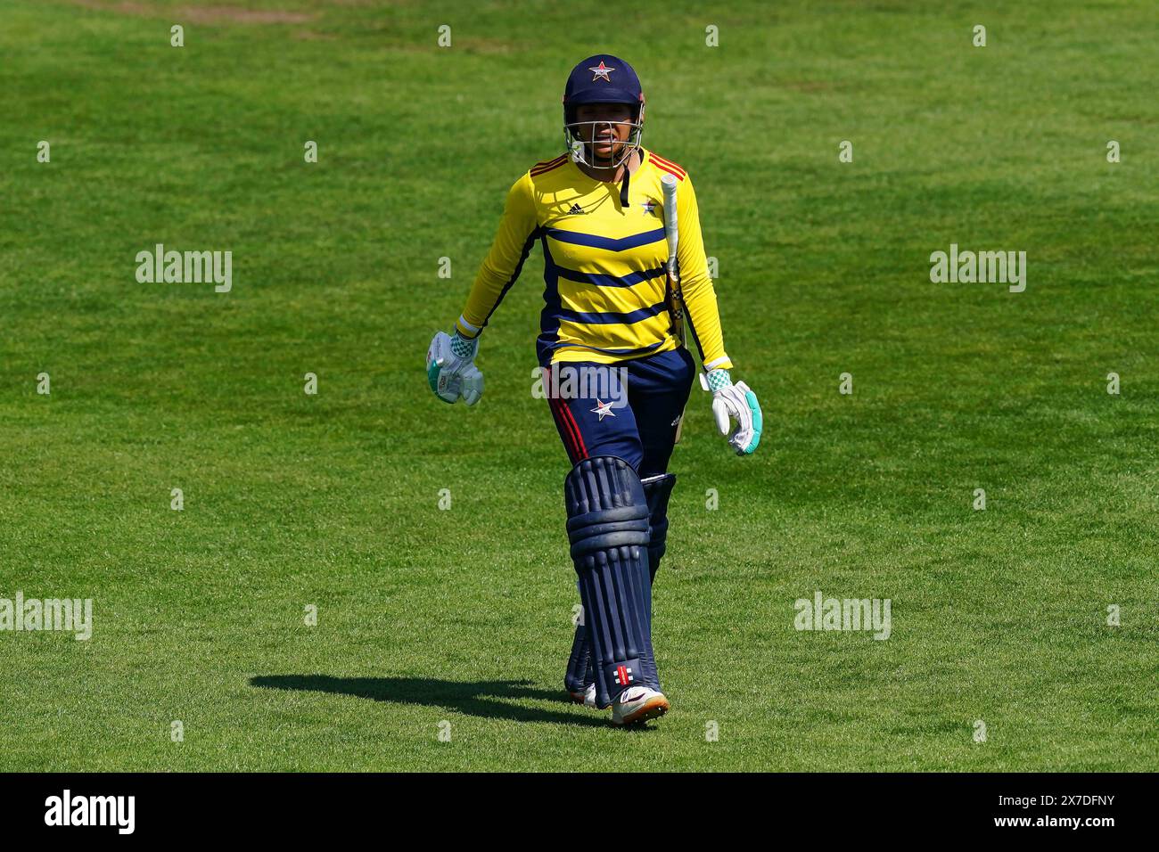 Cricket sophia dunkley south east stars hi-res stock photography and ...