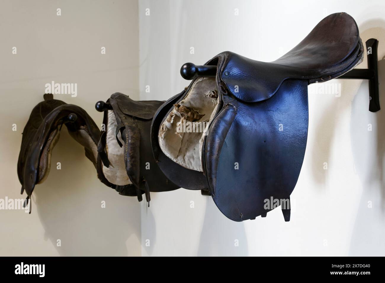 Italy, Sicily, old leather horse saddles hanging on the walls of a ...