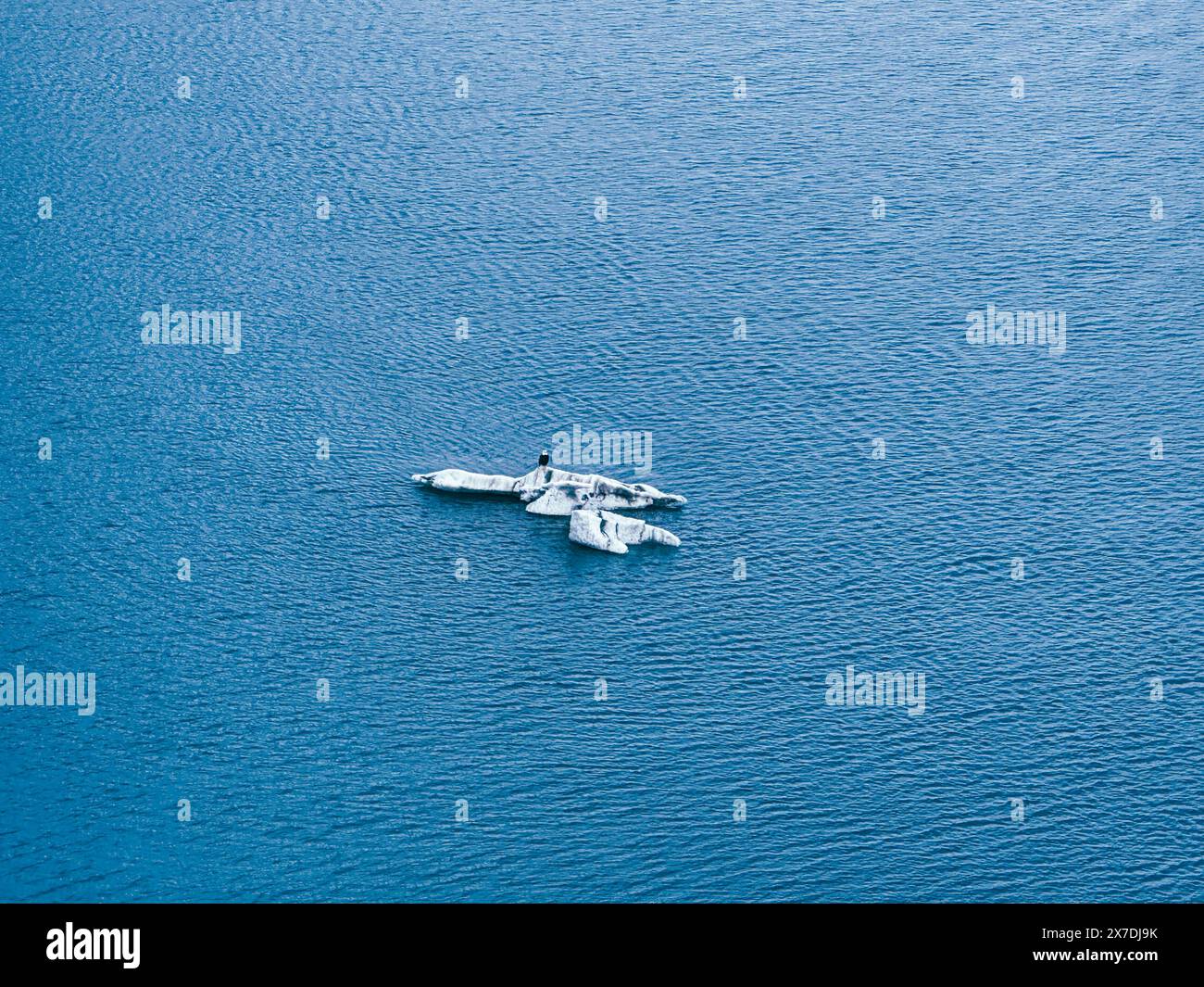Eagle bit hi-res stock photography and images - Alamy