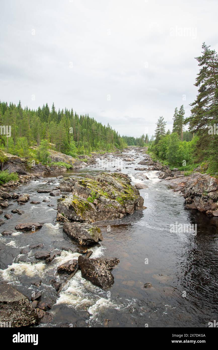 Norwegian River at the Small Waterfall Section Stock Photo - Alamy