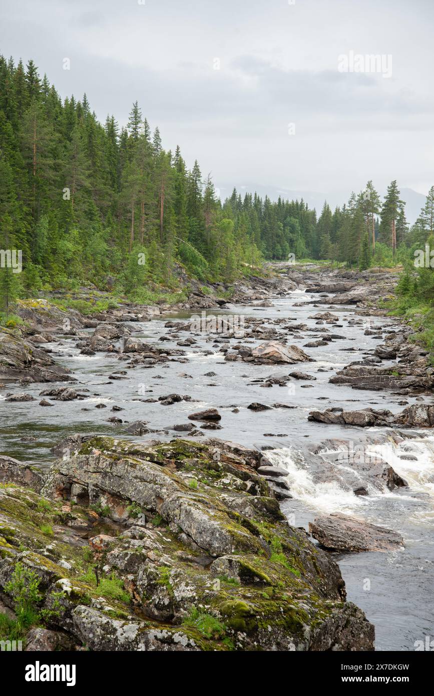 Norwegian River at the Small Waterfall Section Stock Photo - Alamy