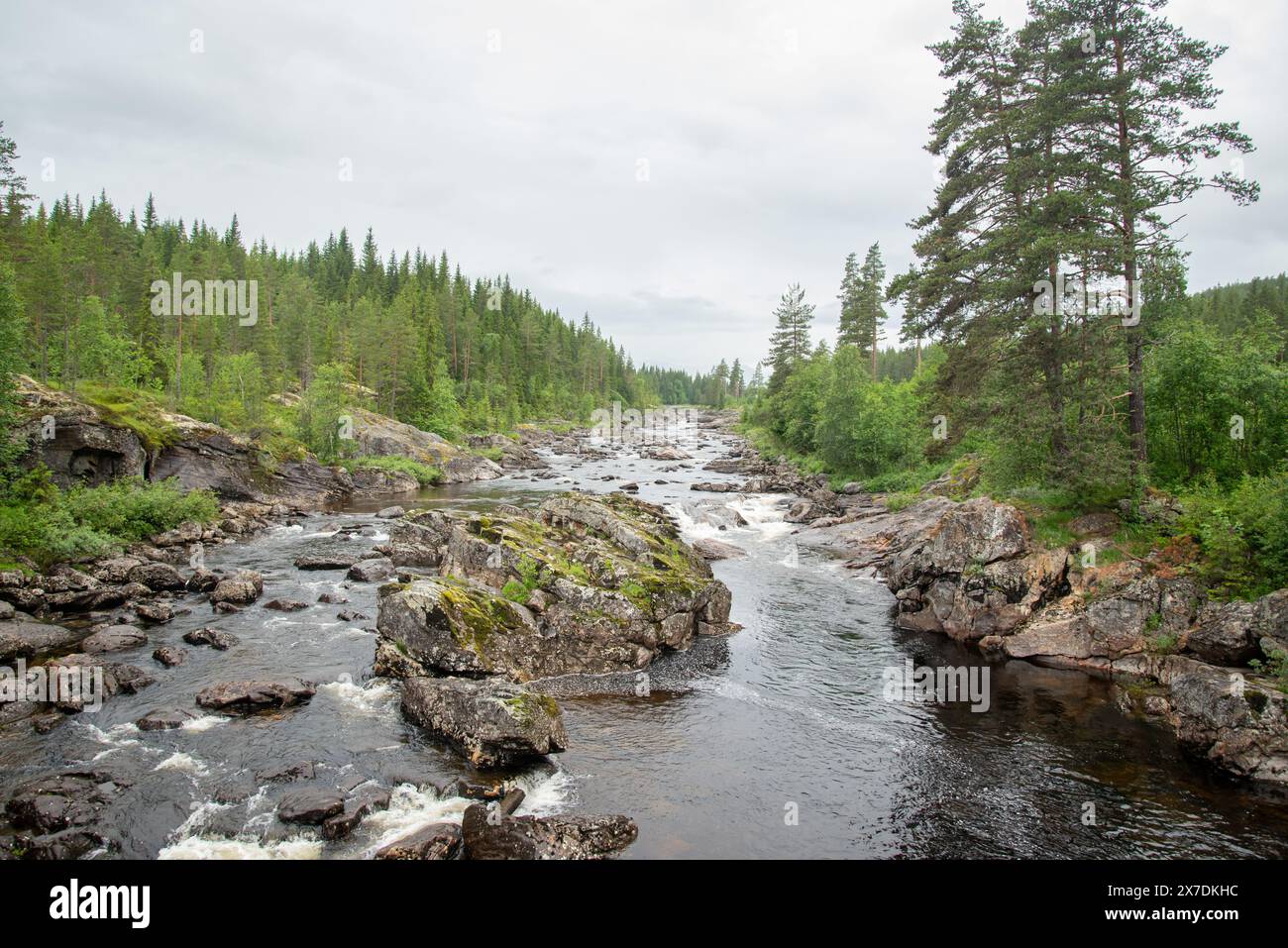 Norwegian River at the Small Waterfall Section Stock Photo - Alamy