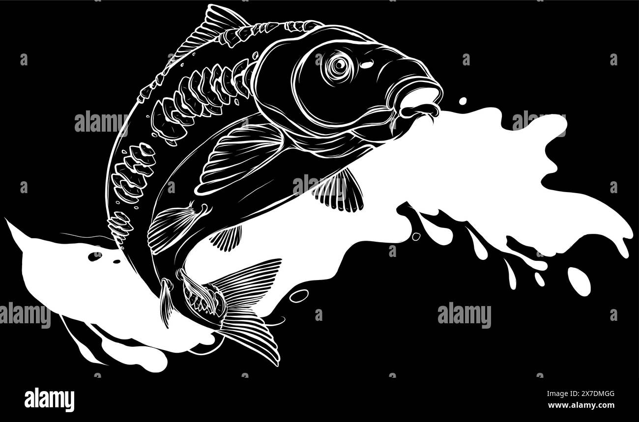 Carp in white line on black background Stock Vector Image & Art - Alamy
