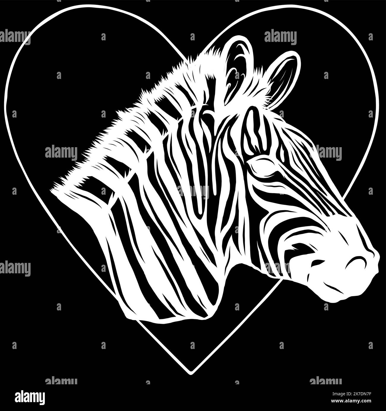 Zebra in white line on black background Stock Vector Image & Art - Alamy