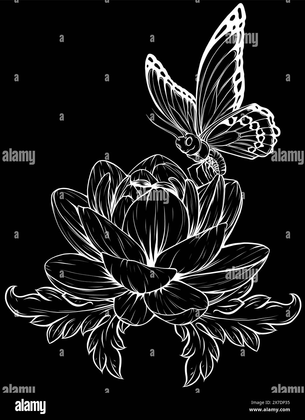 Butterfly icon in doodle Black and White Stock Photos & Images - Alamy