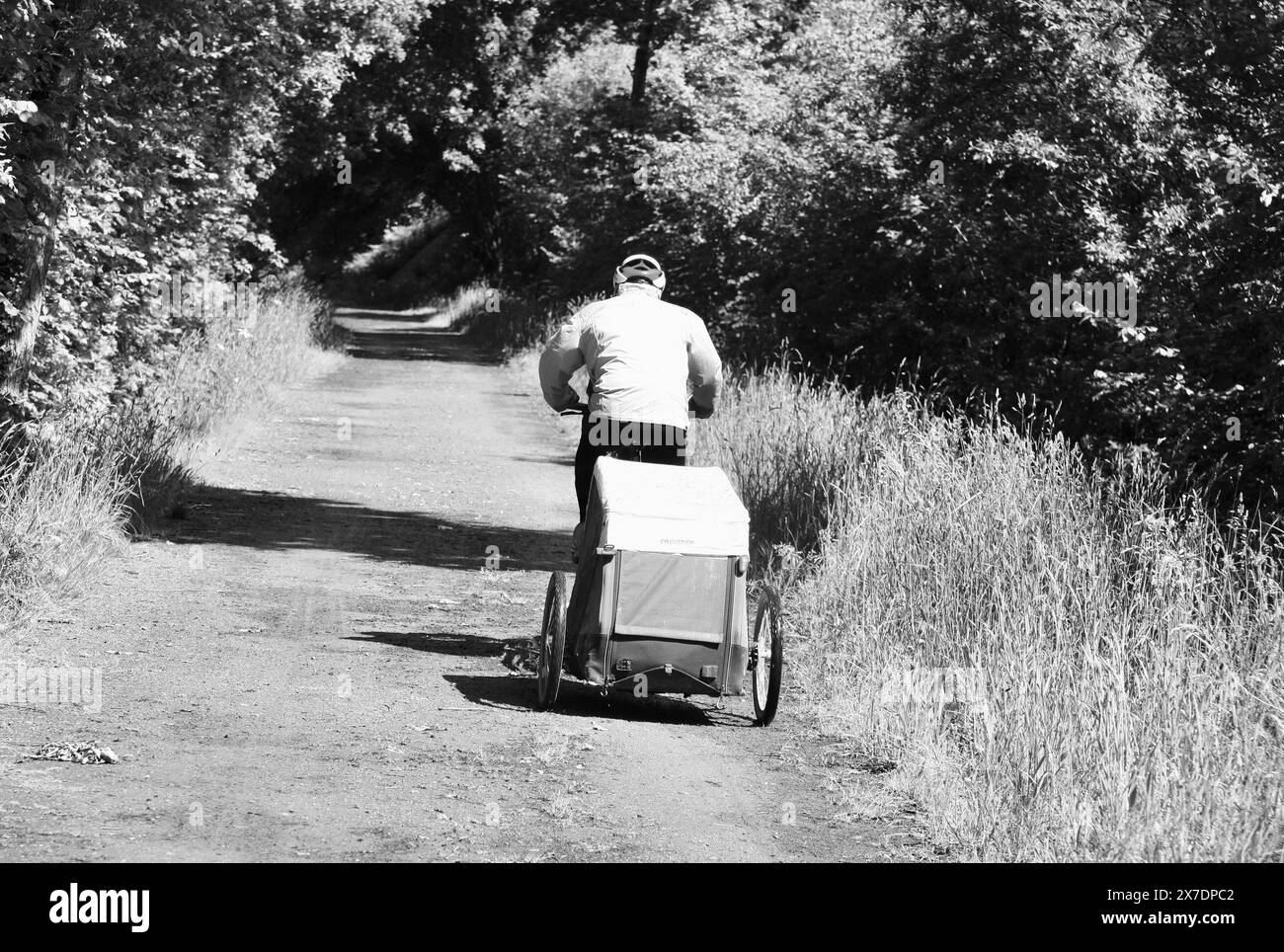 A solitary cyclist on the Veloscenic cycle route, Manche, Normandy ...