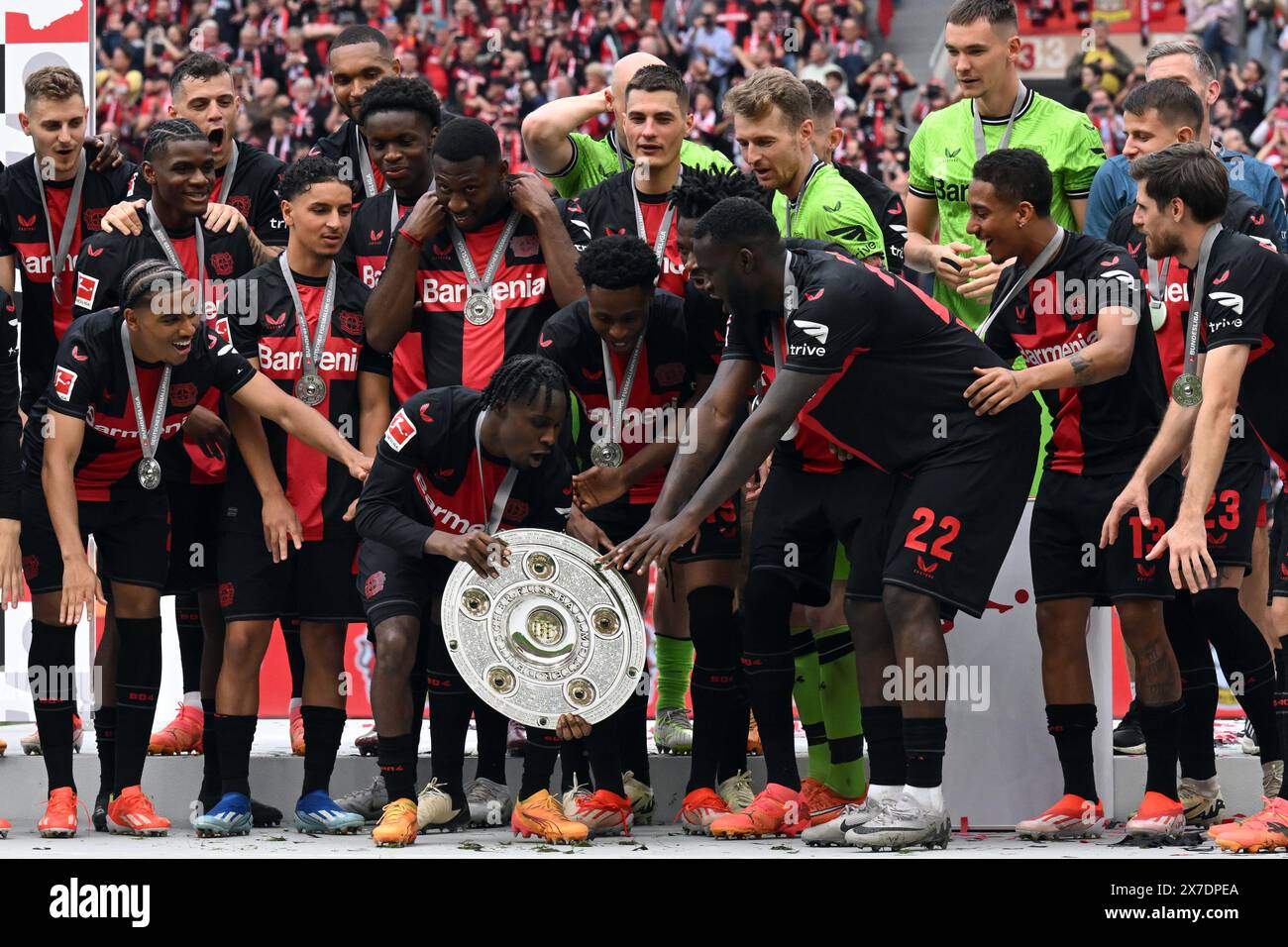 Noah meister hi-res stock photography and images - Alamy