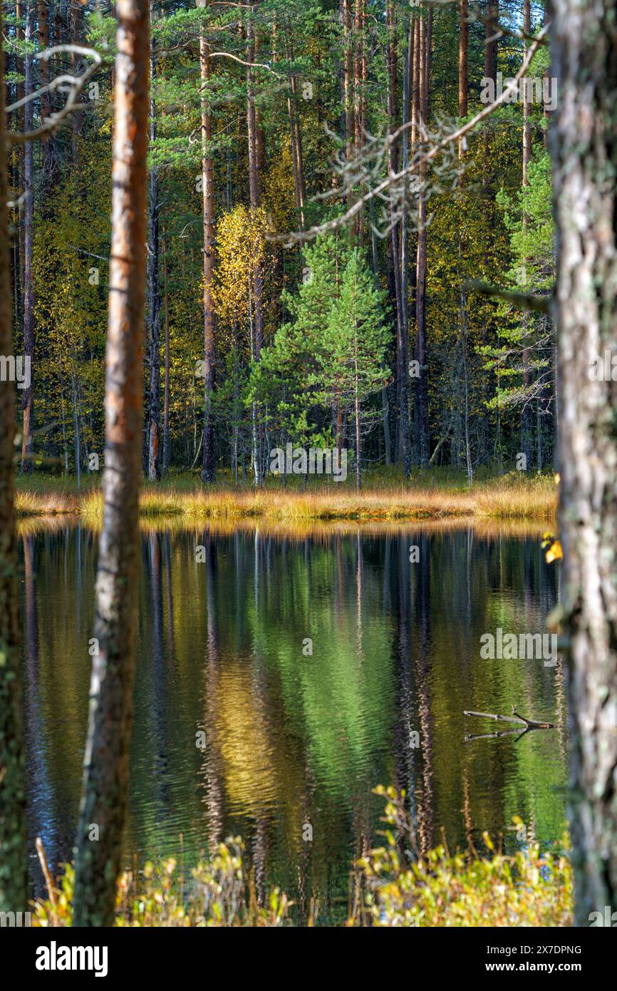 Northern regions of russia hi-res stock photography and images - Alamy