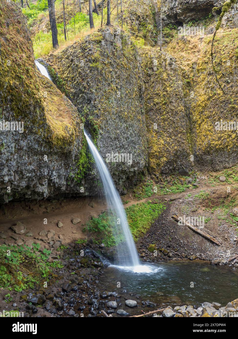 Ponytail (Upper Horsetail) Falls, Trail 400, Columbia River Gorge ...