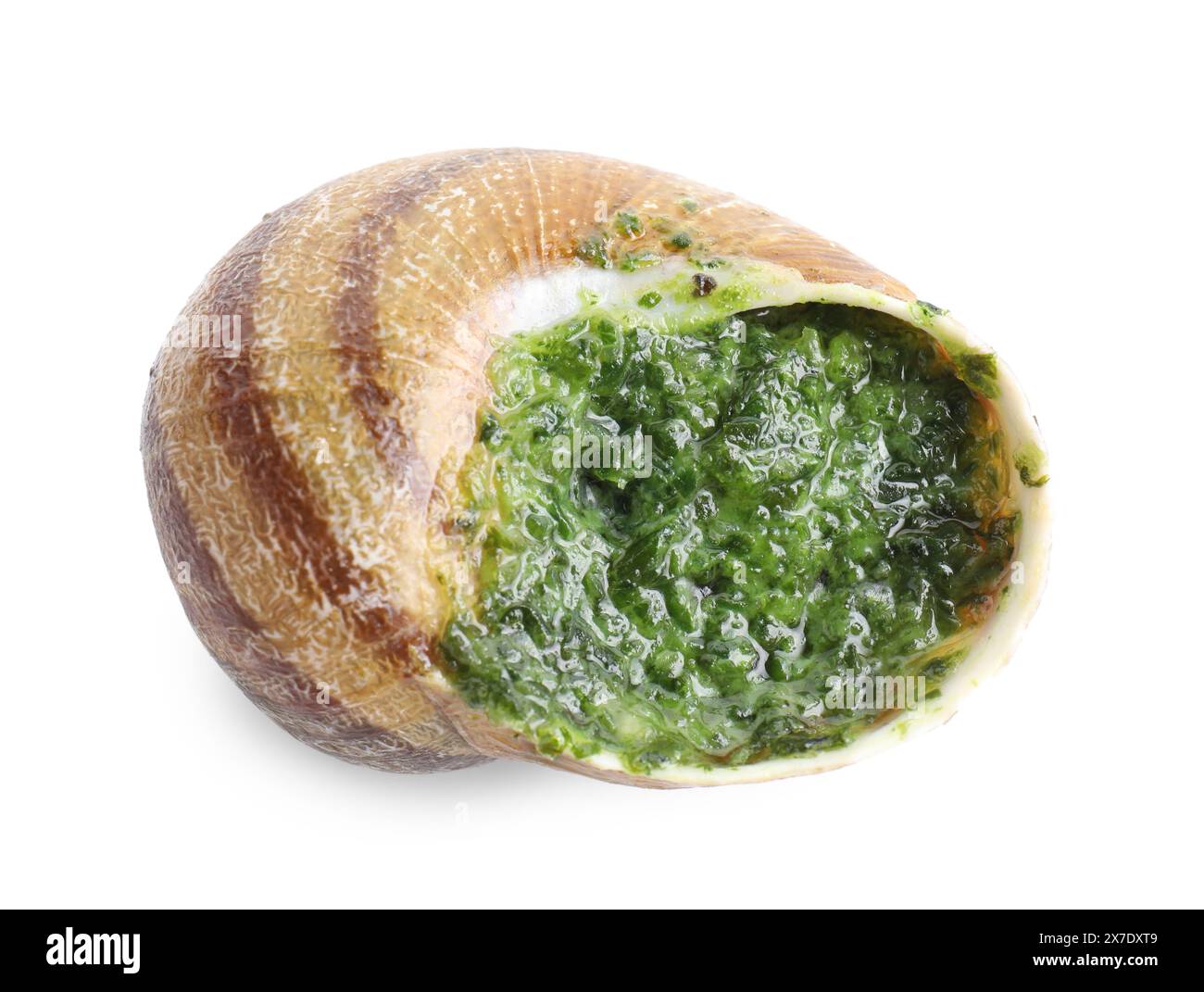 One delicious cooked snail isolated on white, top view Stock Photo - Alamy