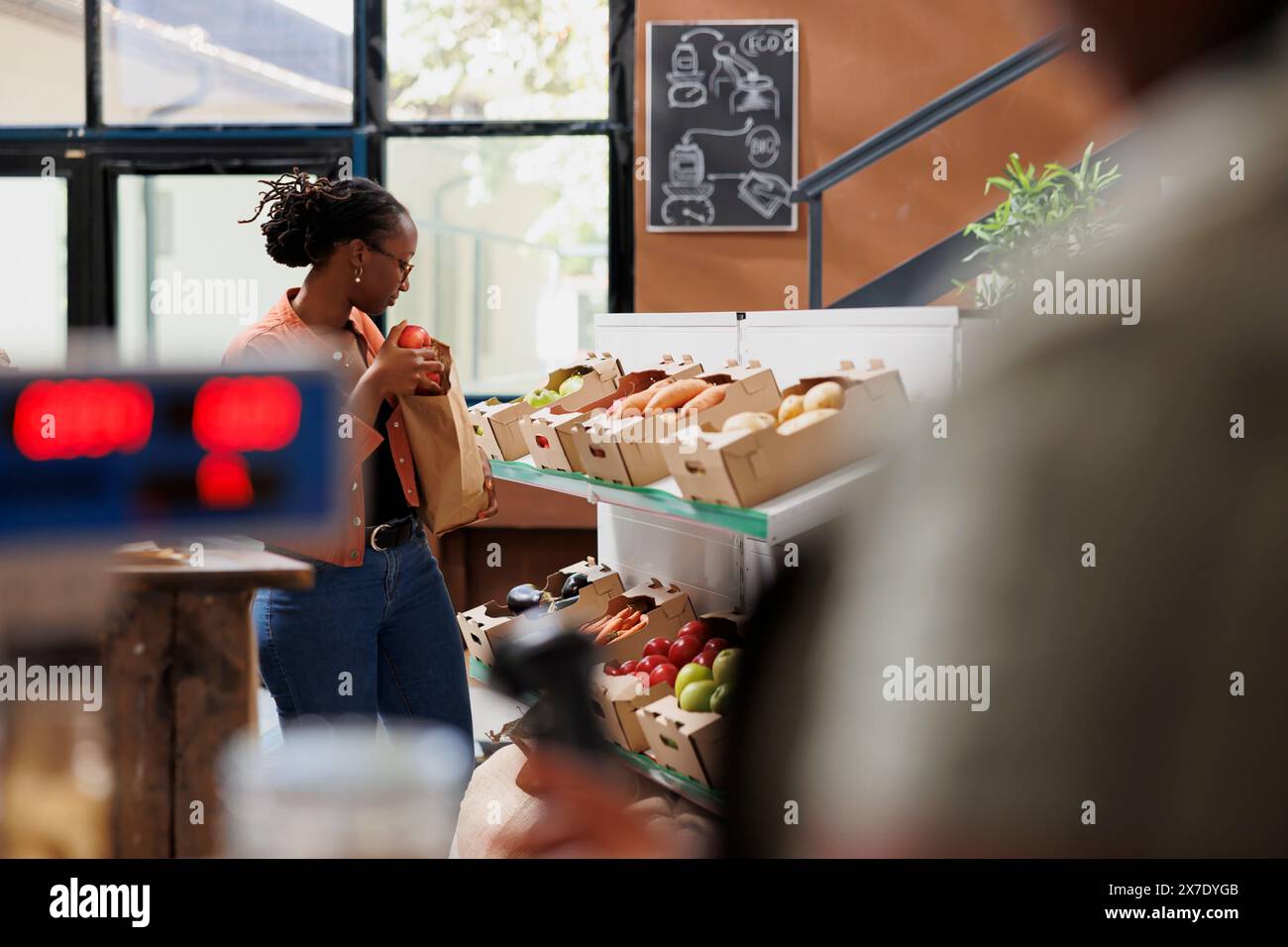 Female client of african american ethnicity exploring eco friendly ...