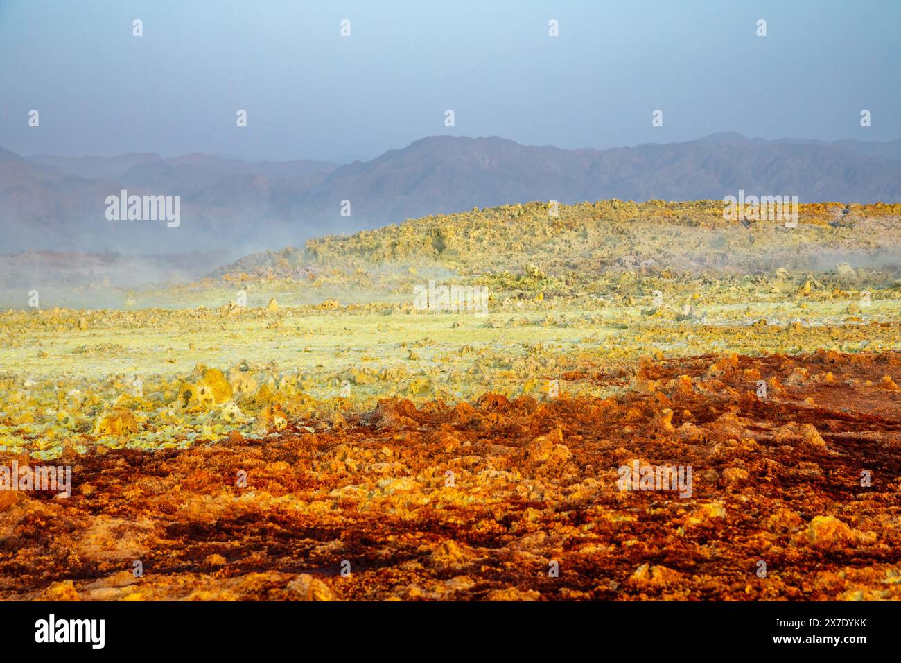 Red and yellow sulphur fields, volcanic landscape Danakil Depression ...