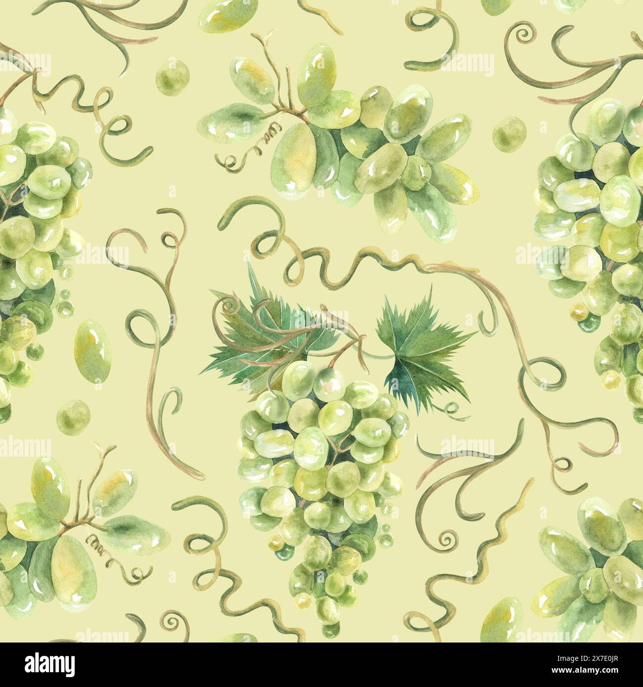 Green grapes, vine watercolor, seamless pattern. Hand drawn. For ...