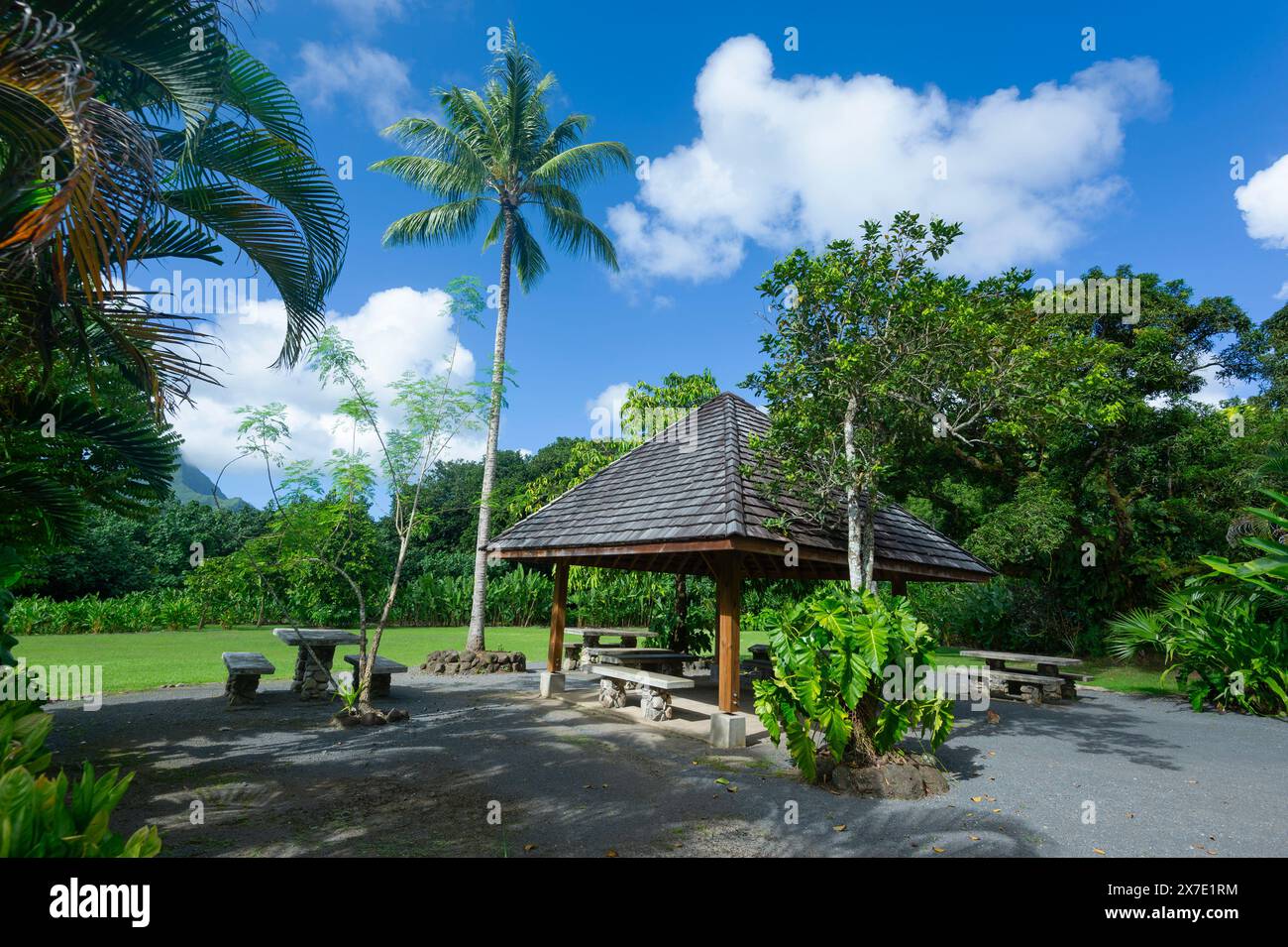 View of the botanical garden, a tourist attraction in Raiatea, Society ...