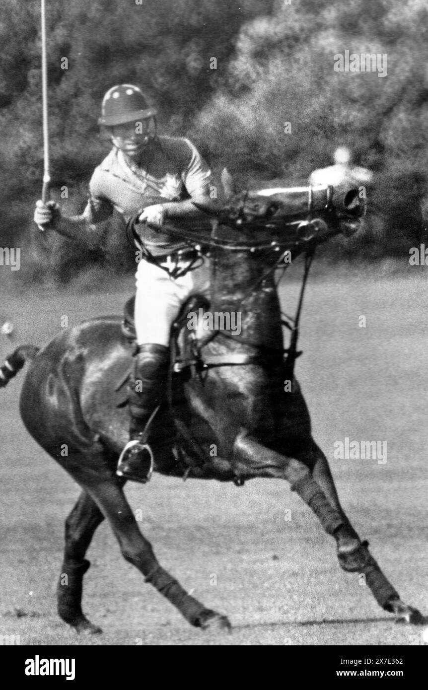1988 polo prince charles hi-res stock photography and images - Alamy