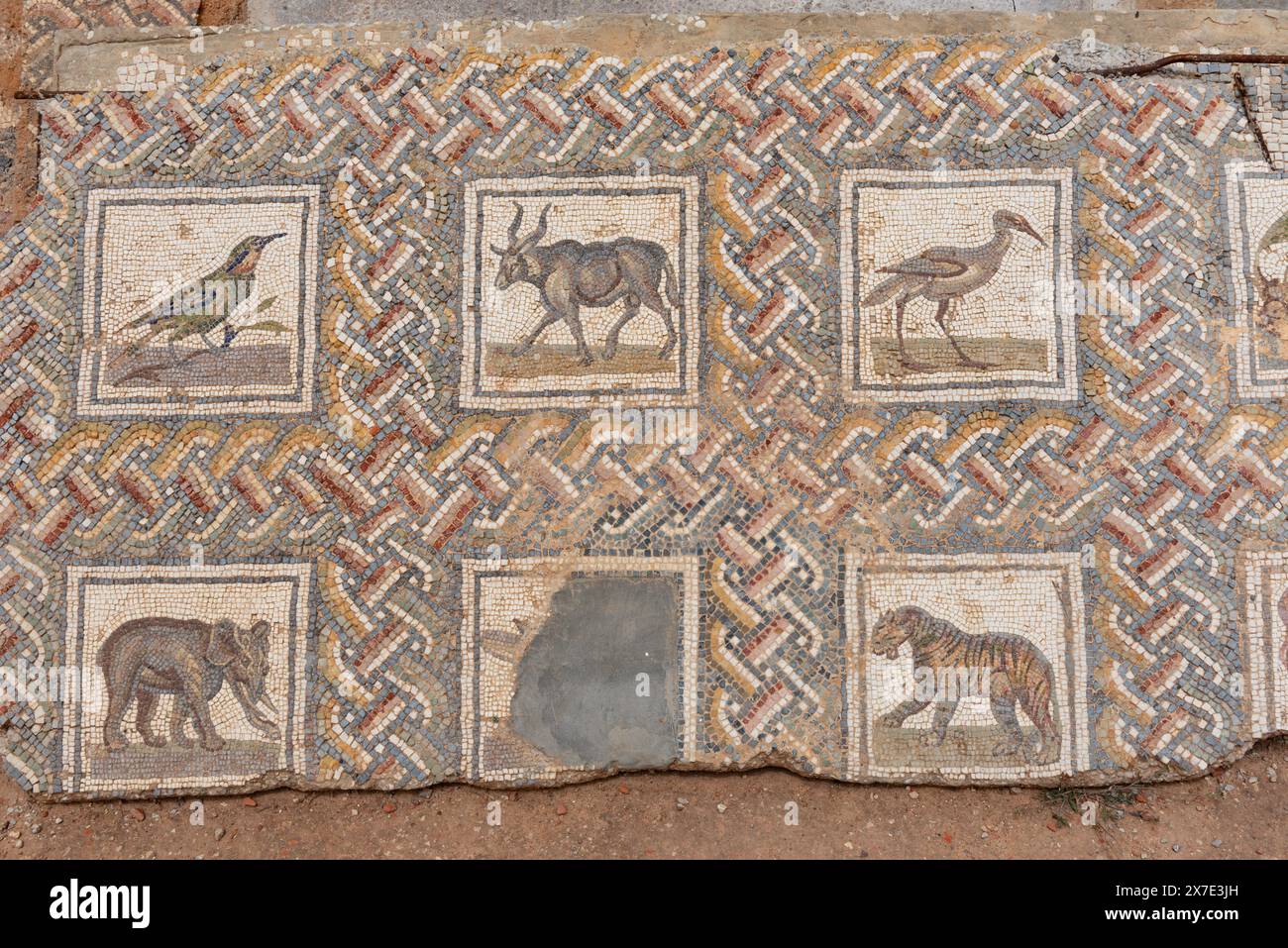 Mosaics at the ancient archaeological ruins of the Phoenician city of ...