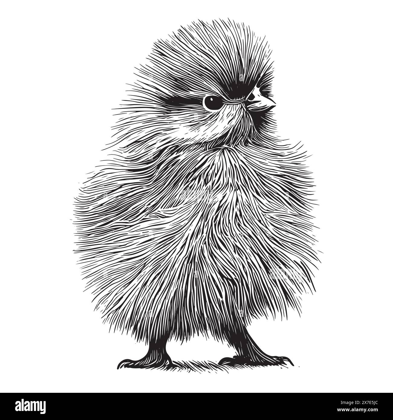 Sketch of cute little chicken. Vector sketch design elements. Hand ...