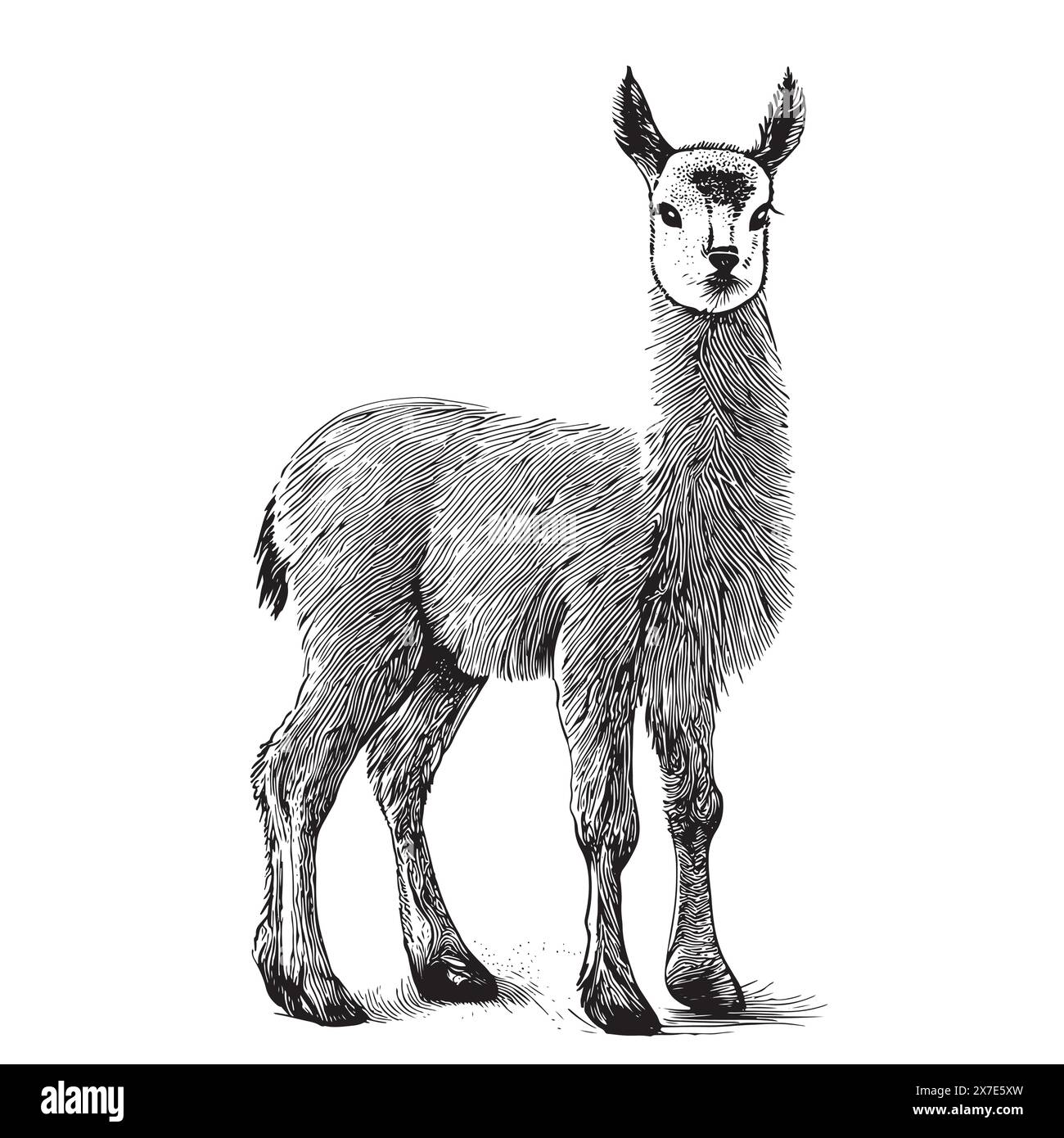 Domestic zoo Black and White Stock Photos & Images - Alamy