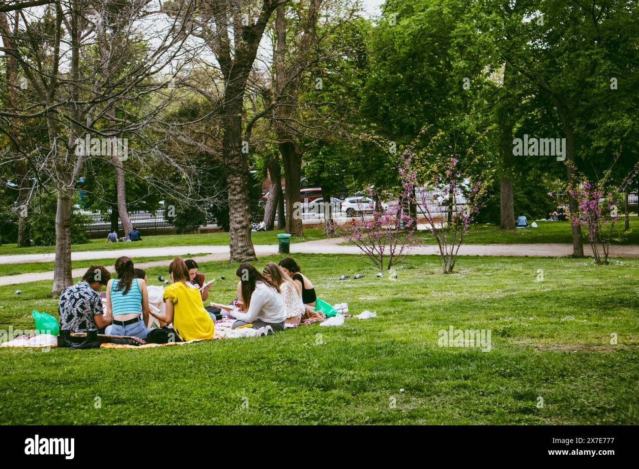 Madrid, Spain. 1 May 2024 A group of young people sitting on a green ...