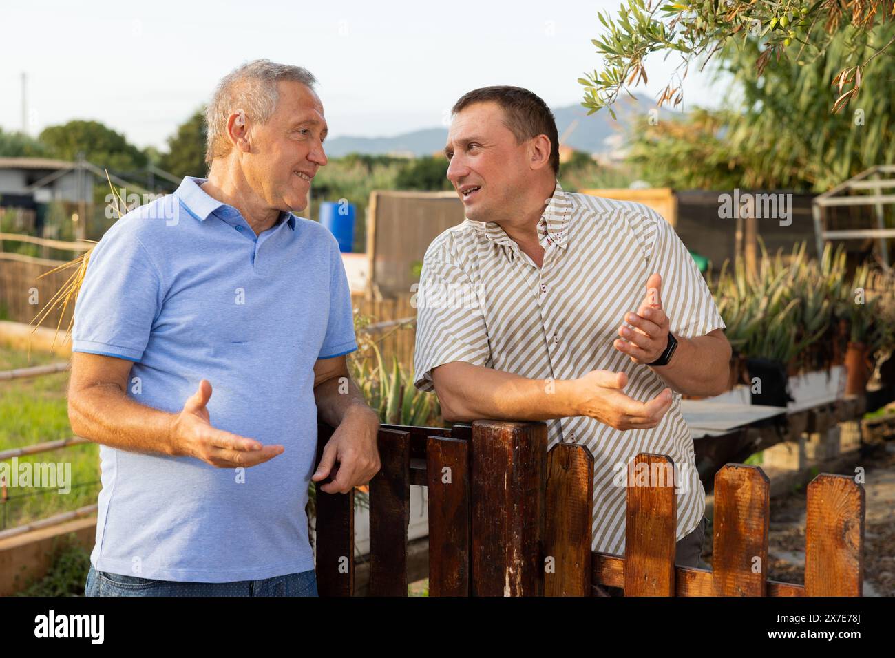 Male neighbors having conversation outdoors Stock Photo - Alamy